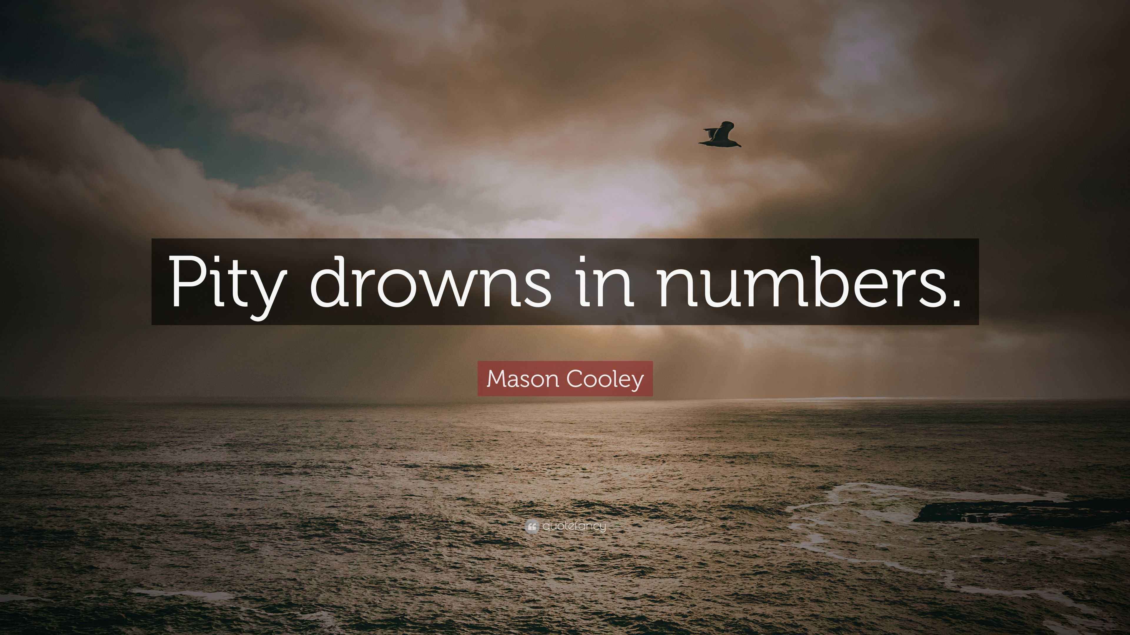 Mason Cooley Quote: “Pity drowns in numbers.”