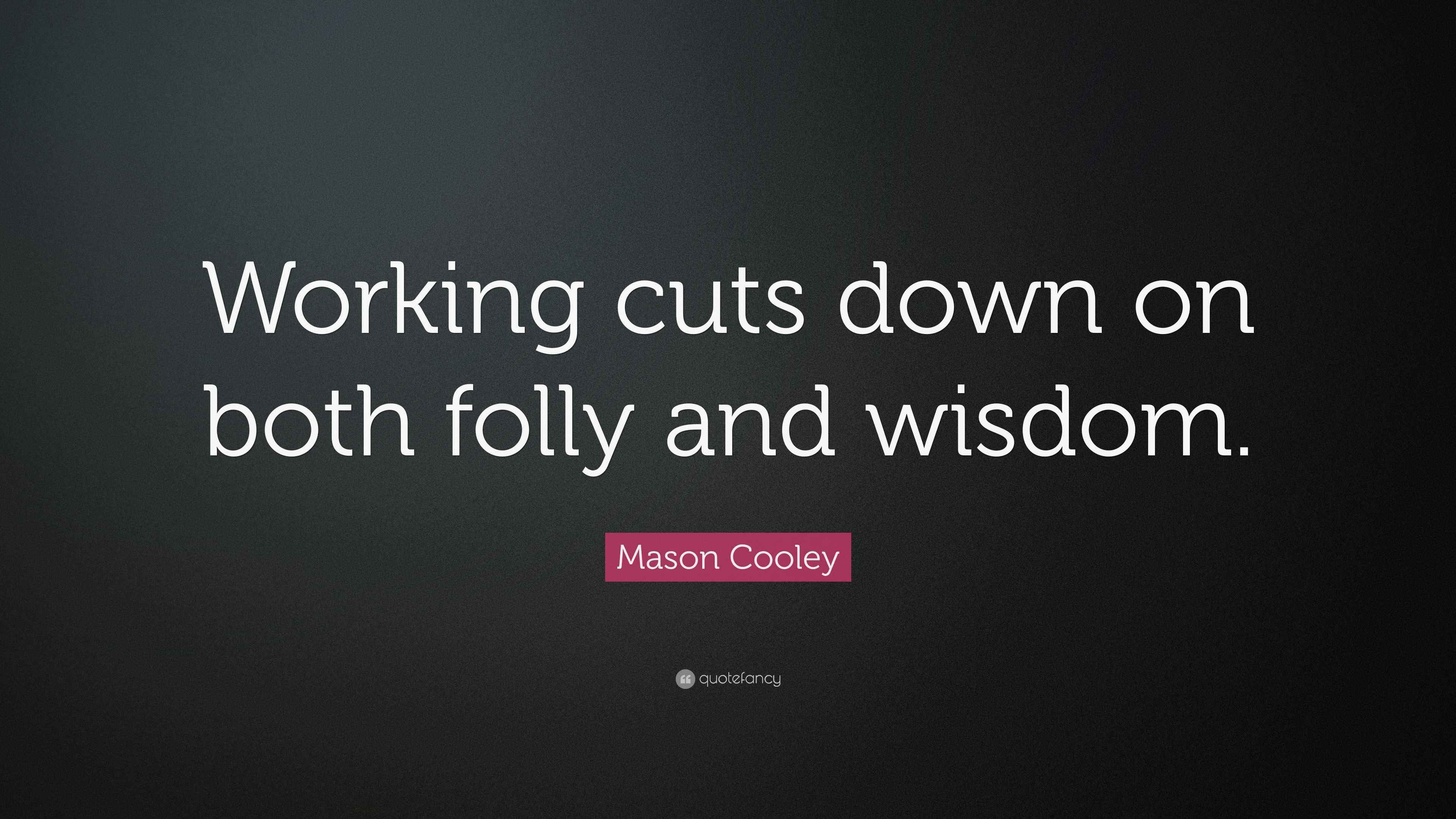 Mason Cooley Quote: “Working cuts down on both folly and wisdom.”