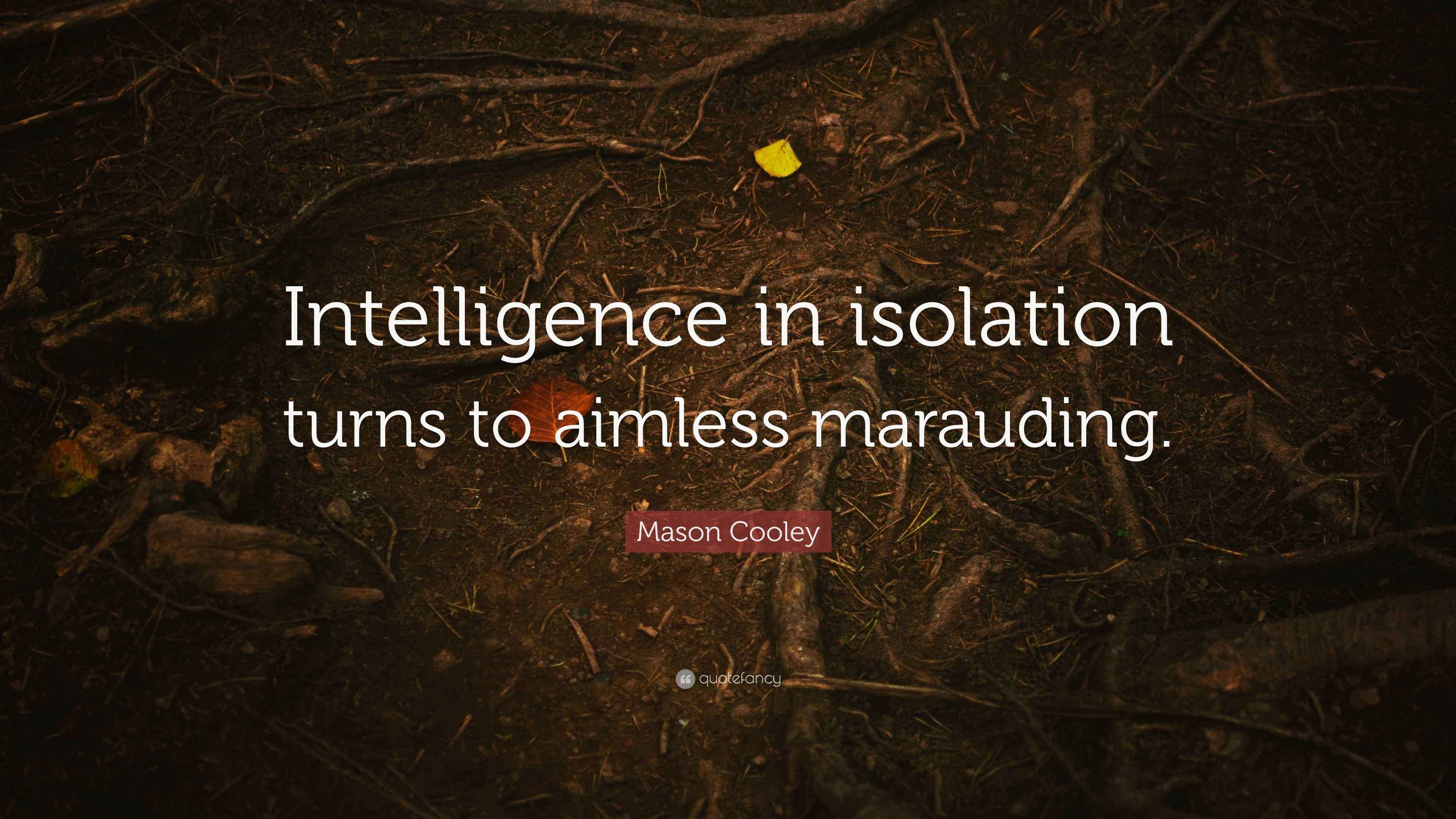 Mason Cooley Quote: “Intelligence in isolation turns to aimless marauding.”