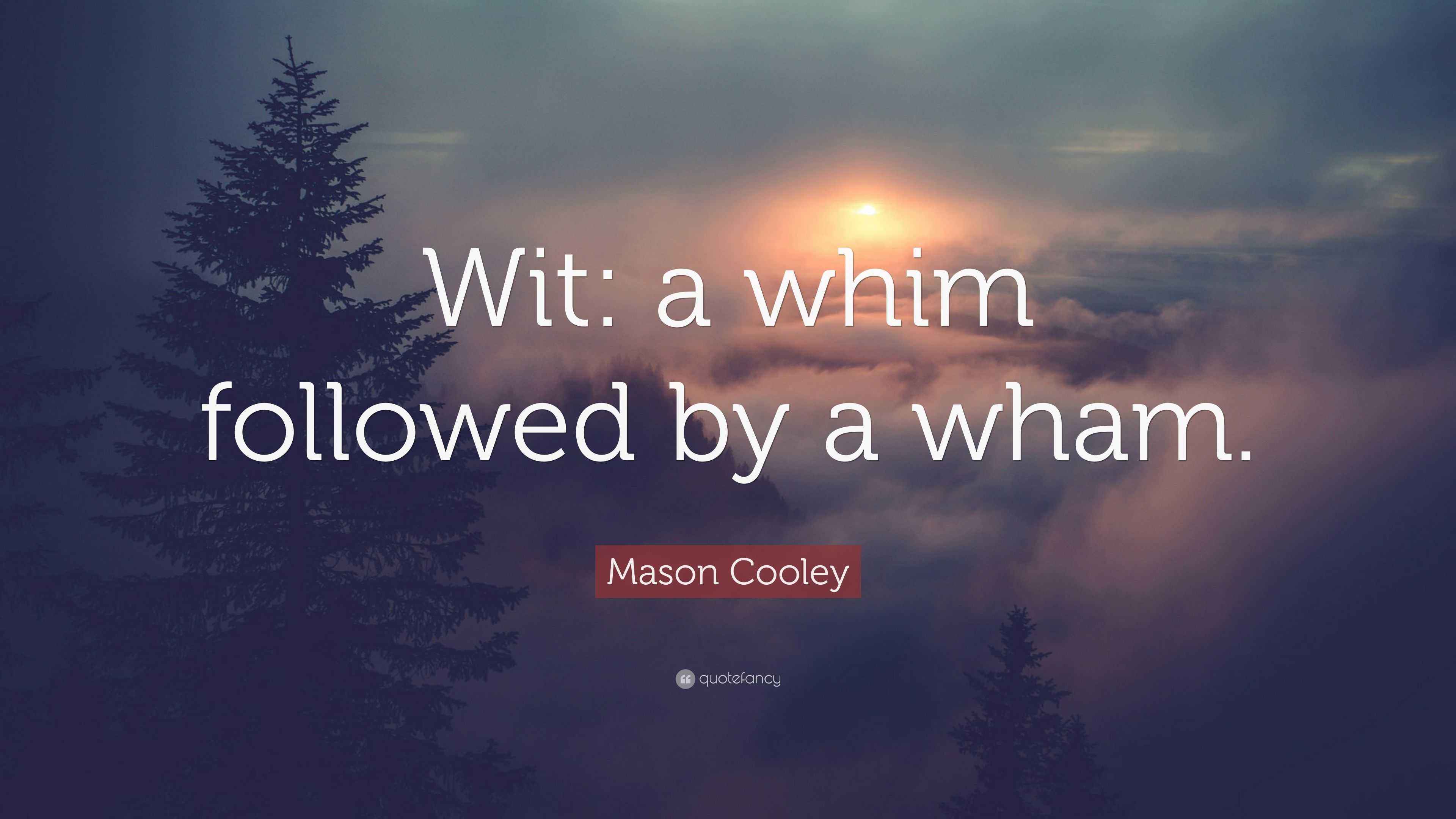 Mason Cooley Quote: “Wit: a whim followed by a wham.”