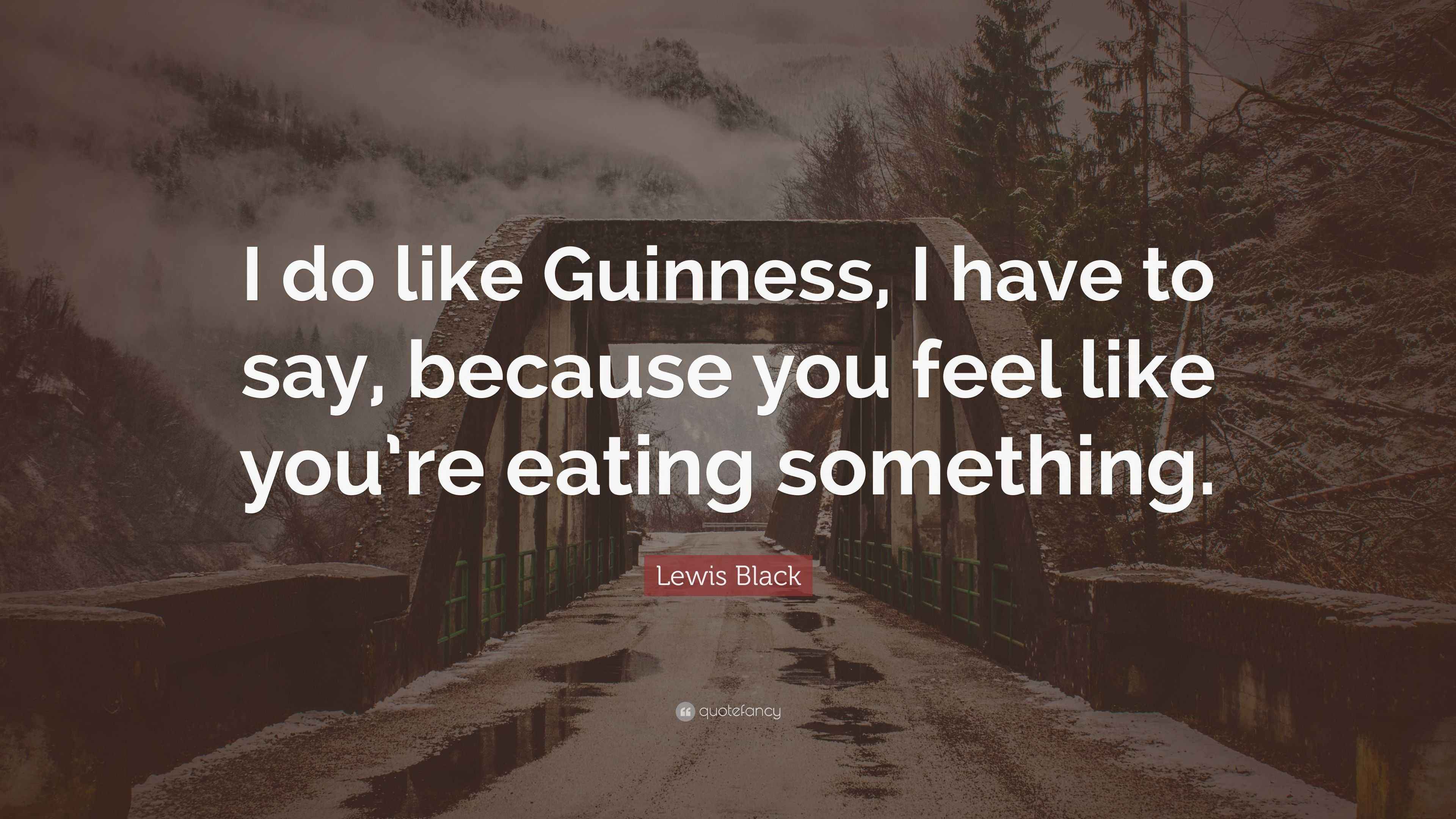 Lewis Black Quote: “I do like Guinness, I have to say, because you feel ...