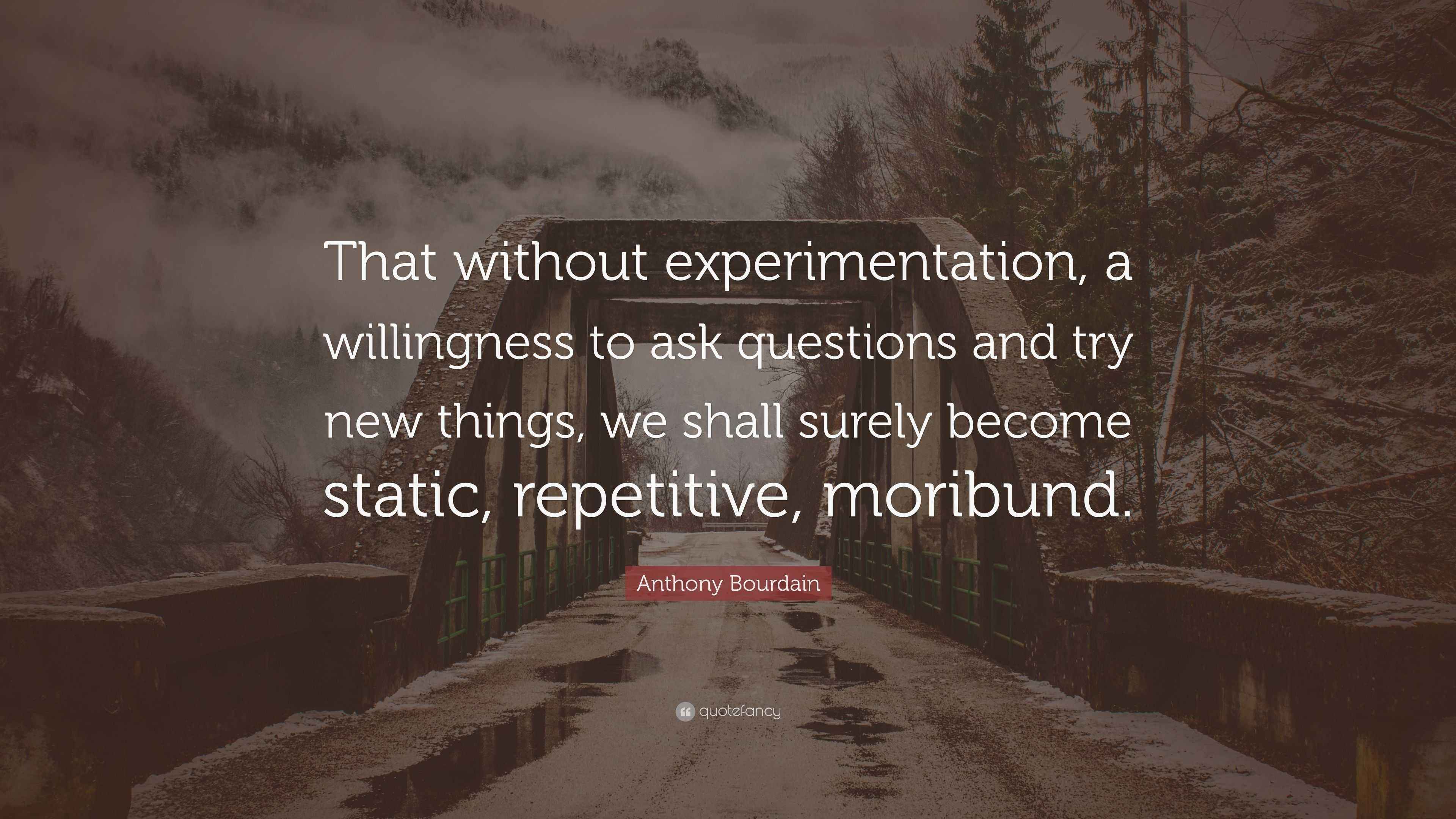 Anthony Bourdain Quote: “That without experimentation, a willingness to ...