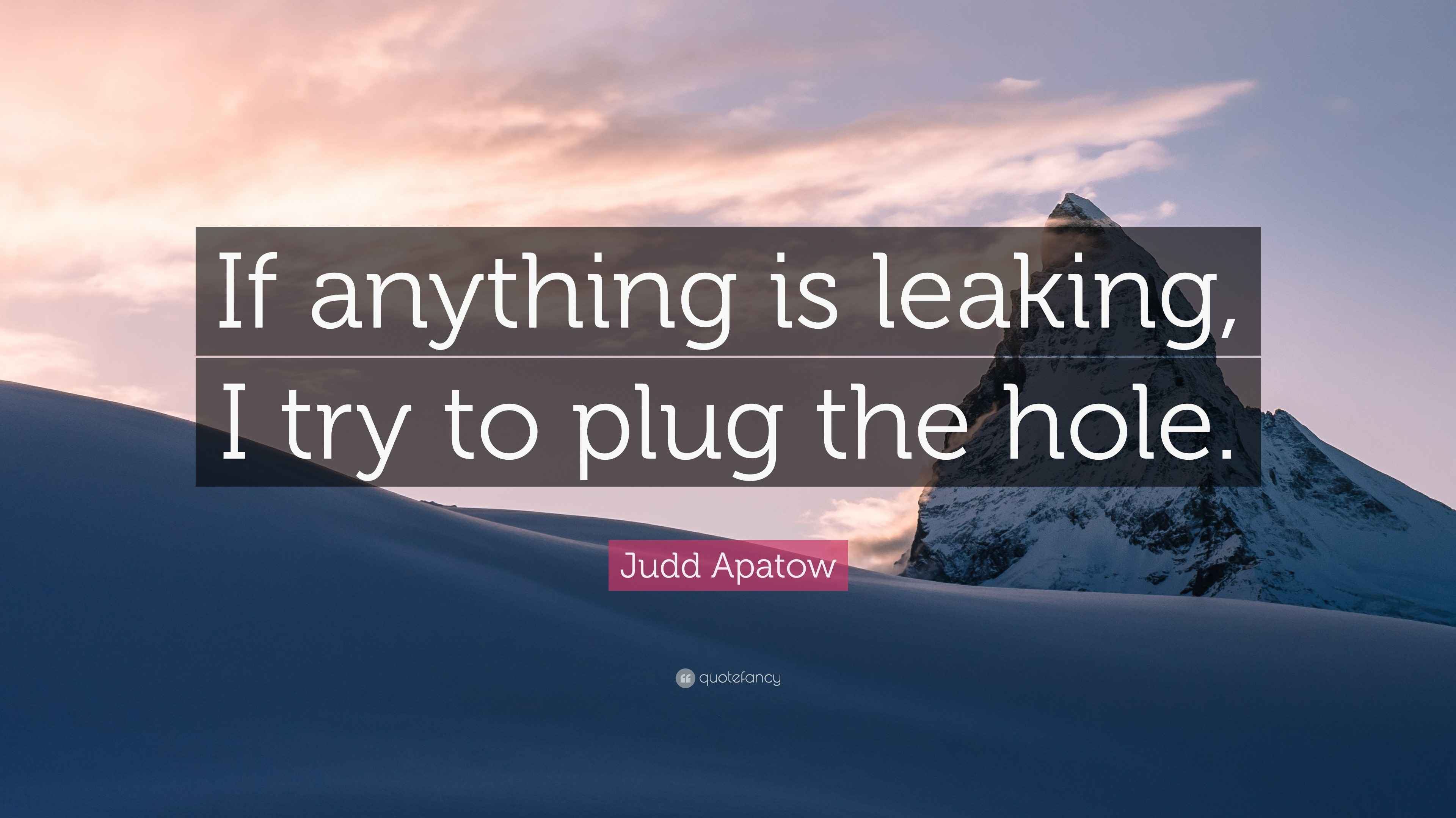 Judd Apatow Quote: “If anything is leaking, I try to plug the hole.”