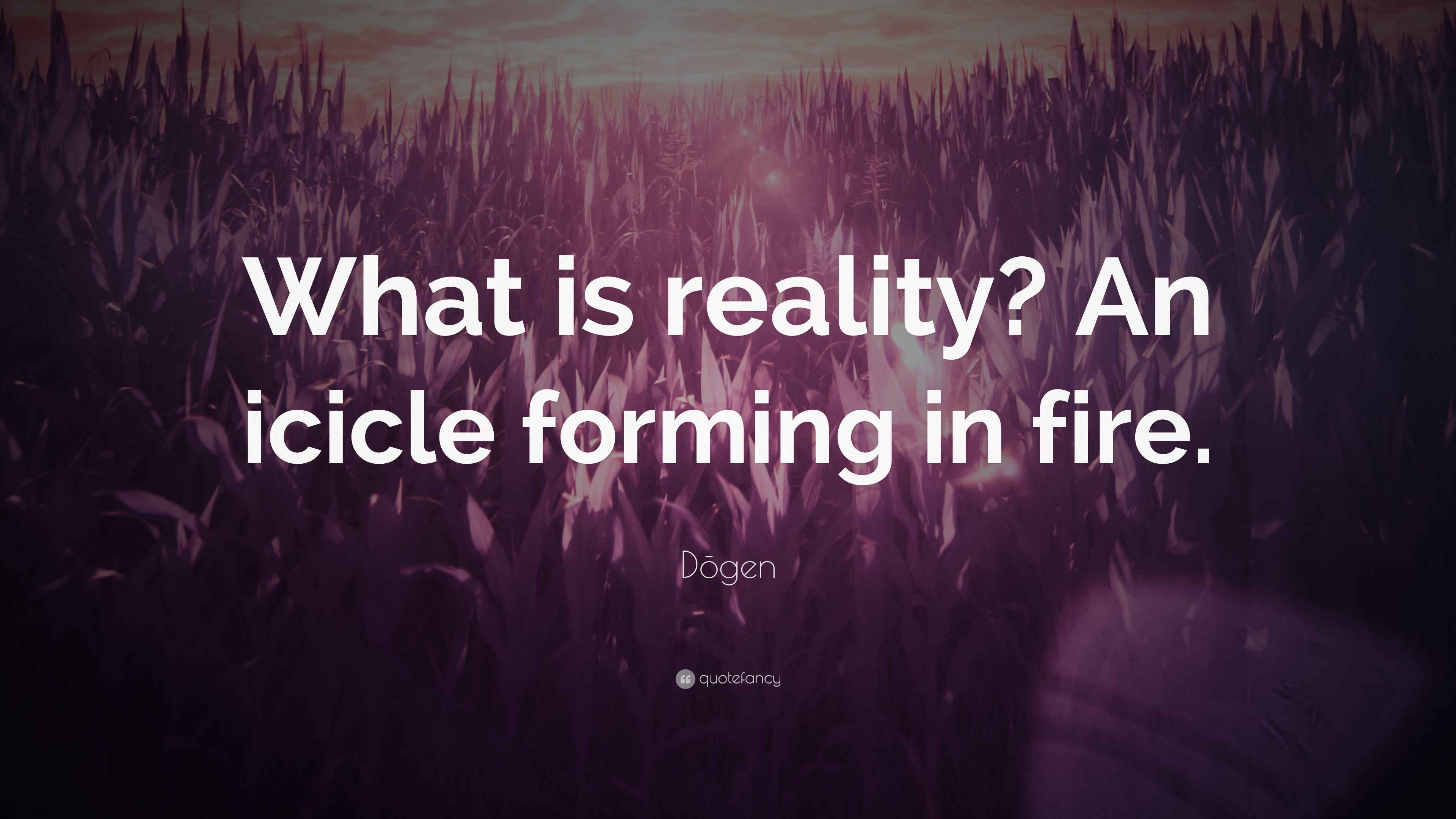 Dōgen Quote: “What is reality? An icicle forming in fire.”