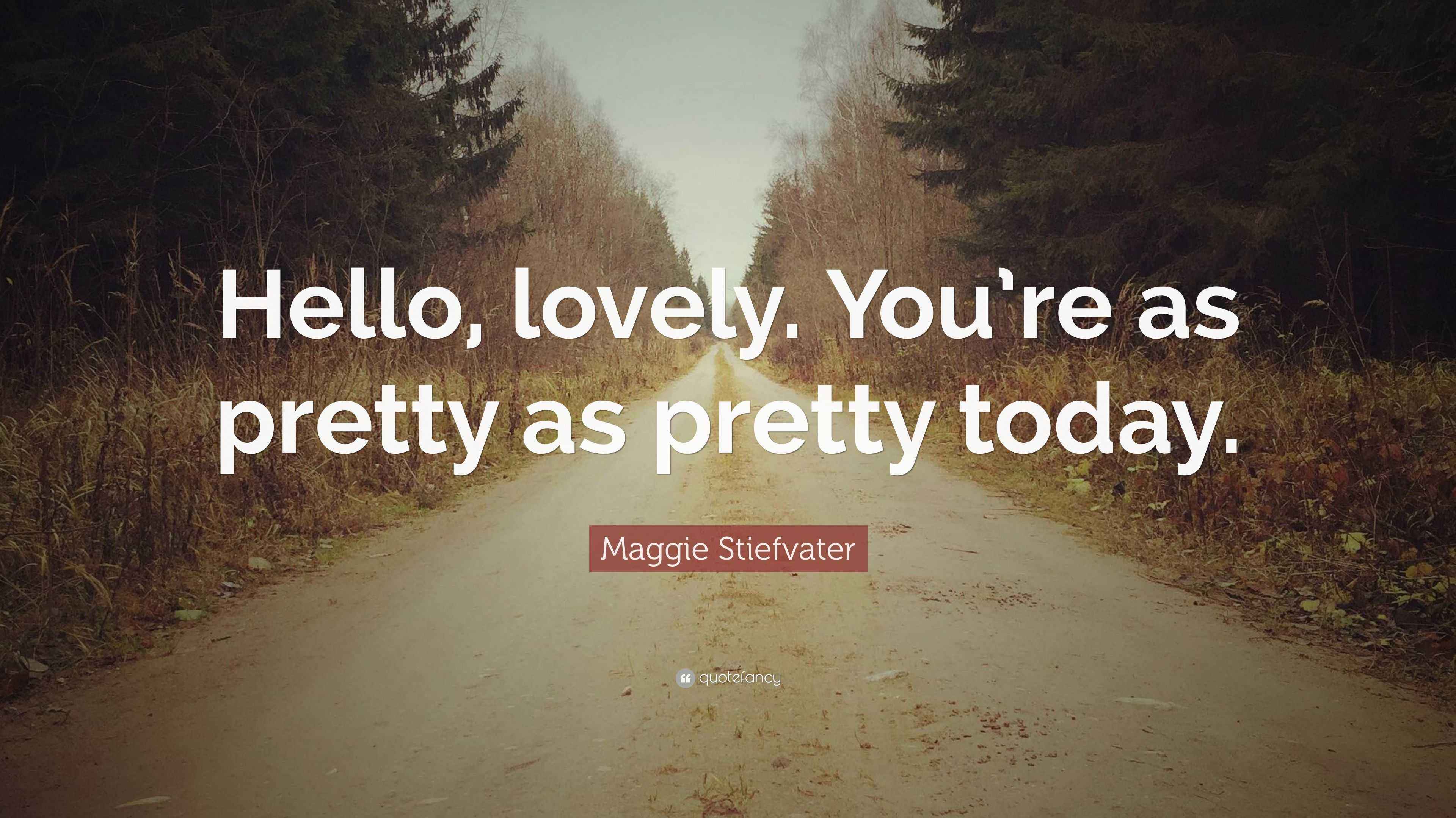 Maggie Stiefvater Quote: “Hello, lovely. You’re as pretty as pretty today.”