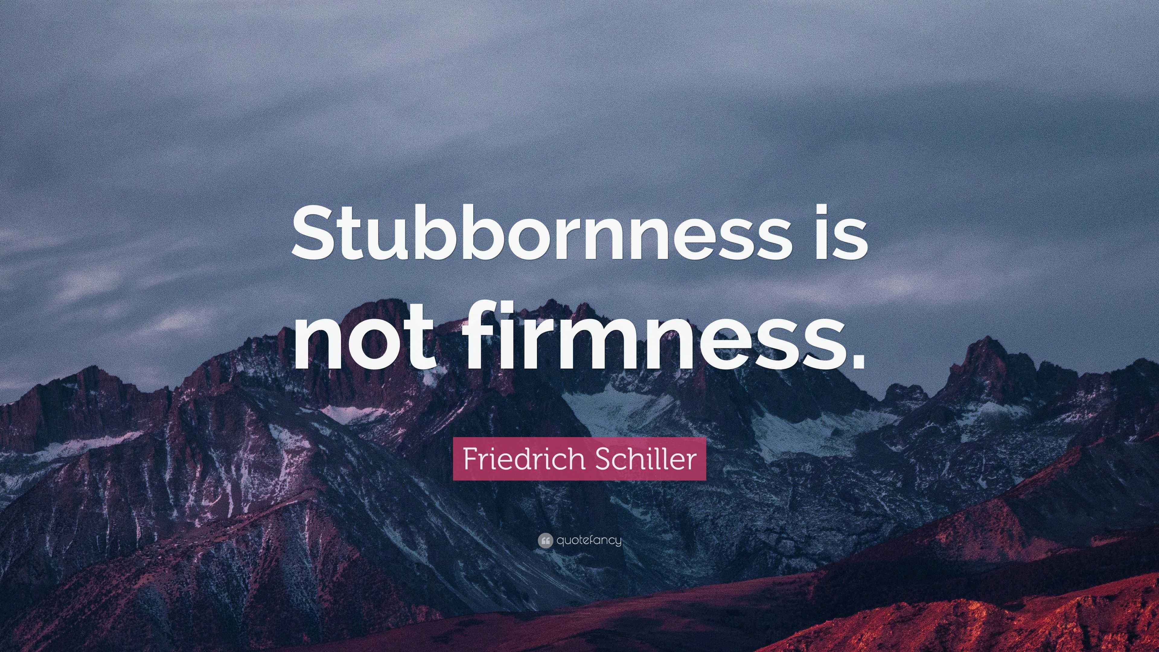 Friedrich Schiller Quote: “Stubbornness is not firmness.”