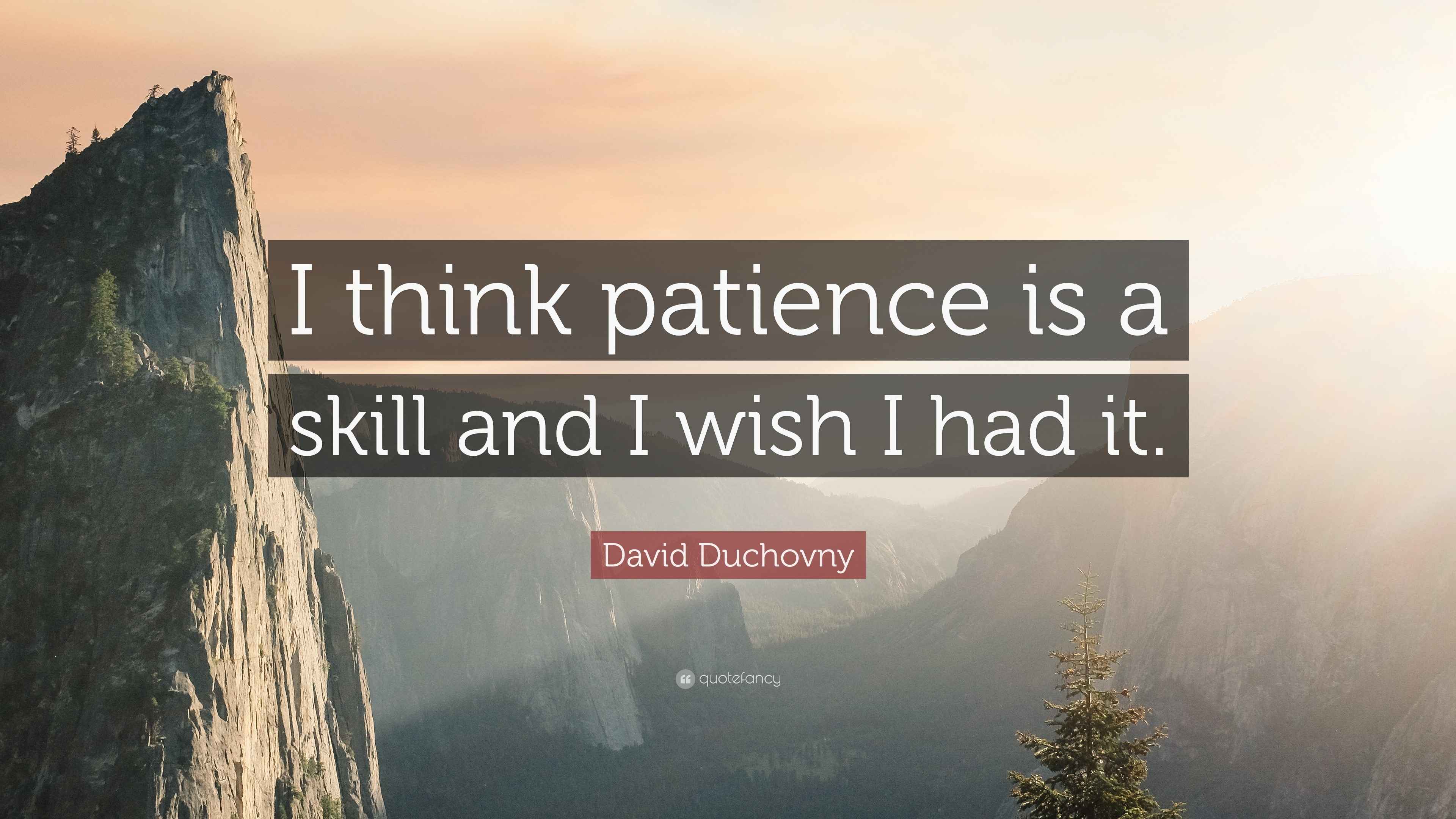 David Duchovny Quote: “I think patience is a skill and I wish I had it.”