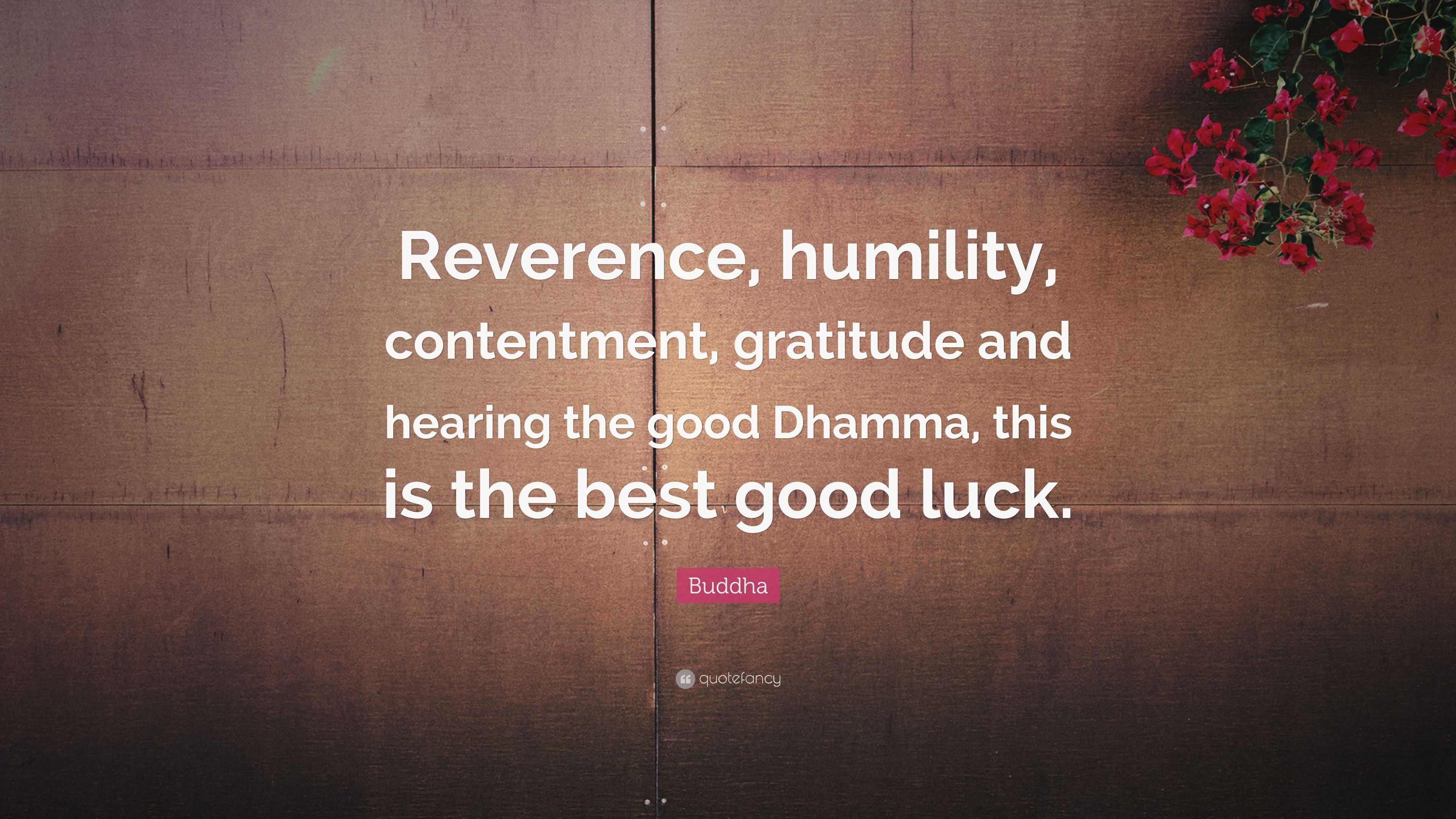 Buddha Quote: “Reverence, humility, contentment, gratitude and hearing ...