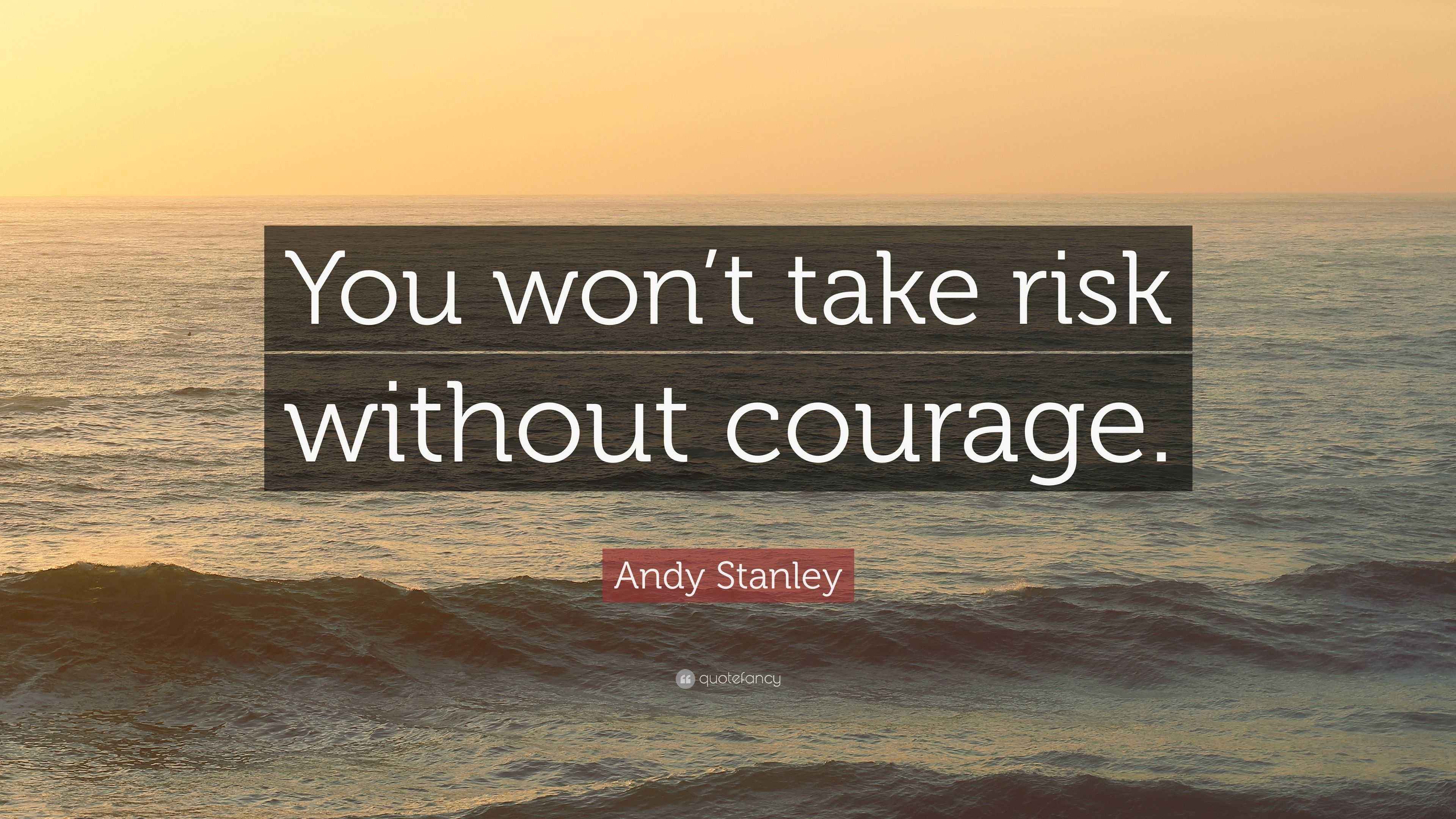 Andy Stanley Quote: “You won’t take risk without courage.”
