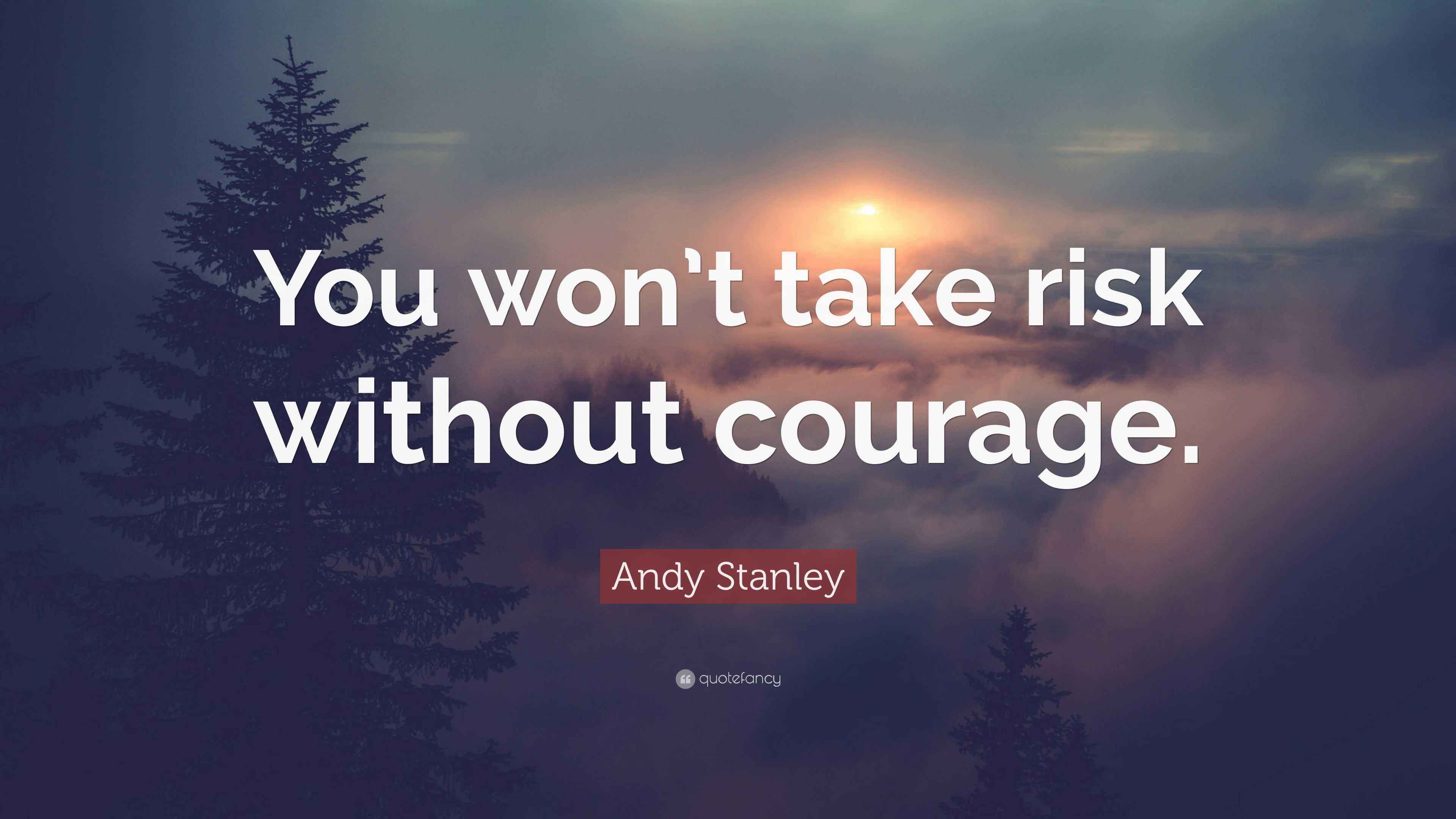 Andy Stanley Quote: “You won’t take risk without courage.”