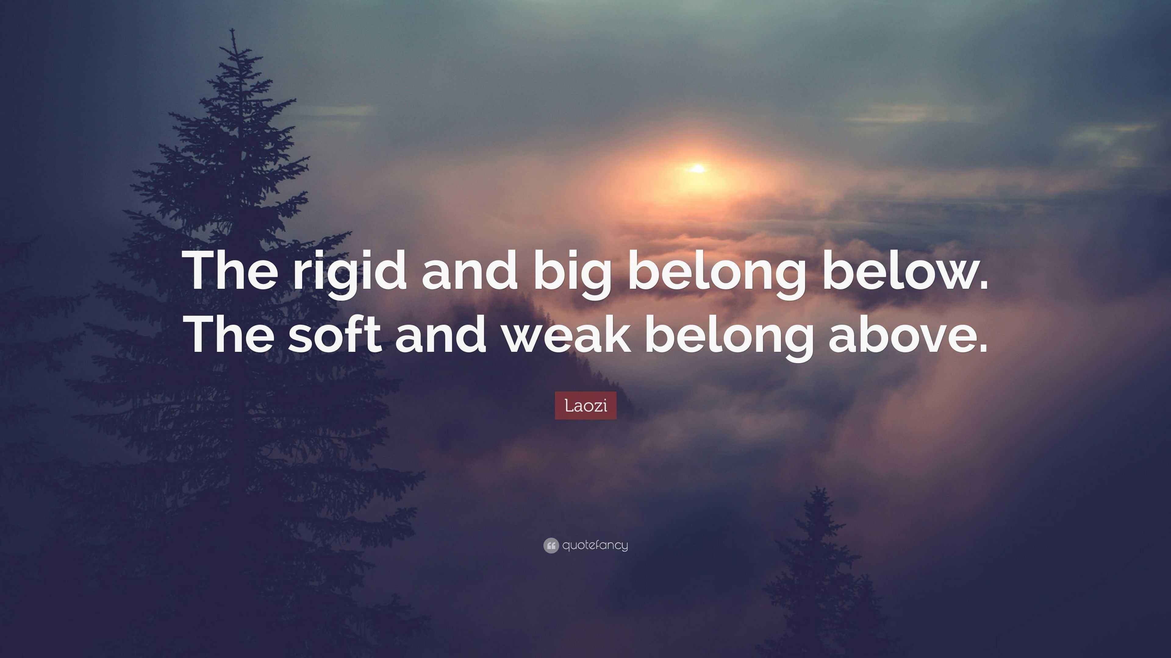 Laozi Quote: “The rigid and big belong below. The soft and weak belong ...