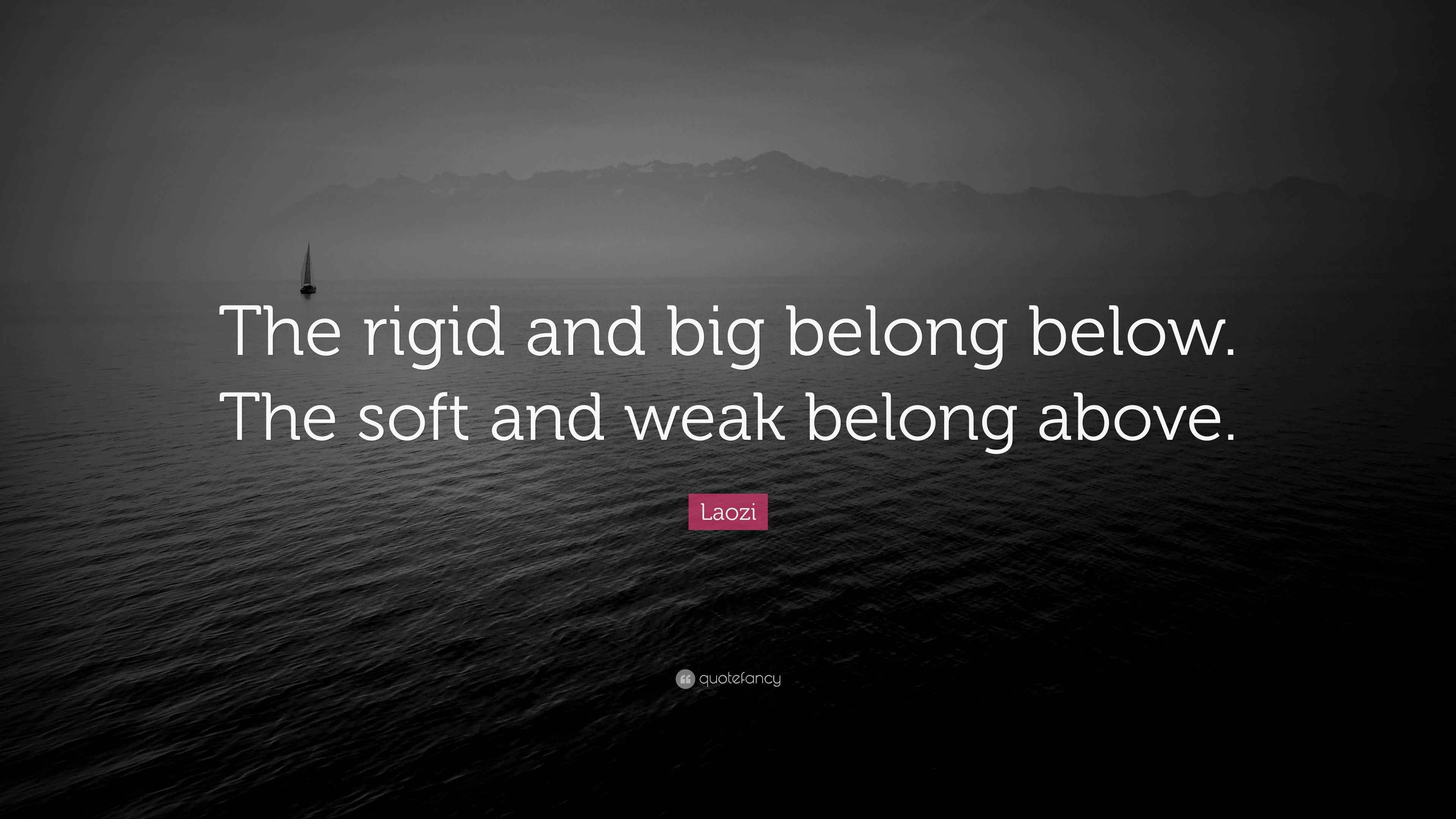 Laozi Quote: “The rigid and big belong below. The soft and weak belong ...