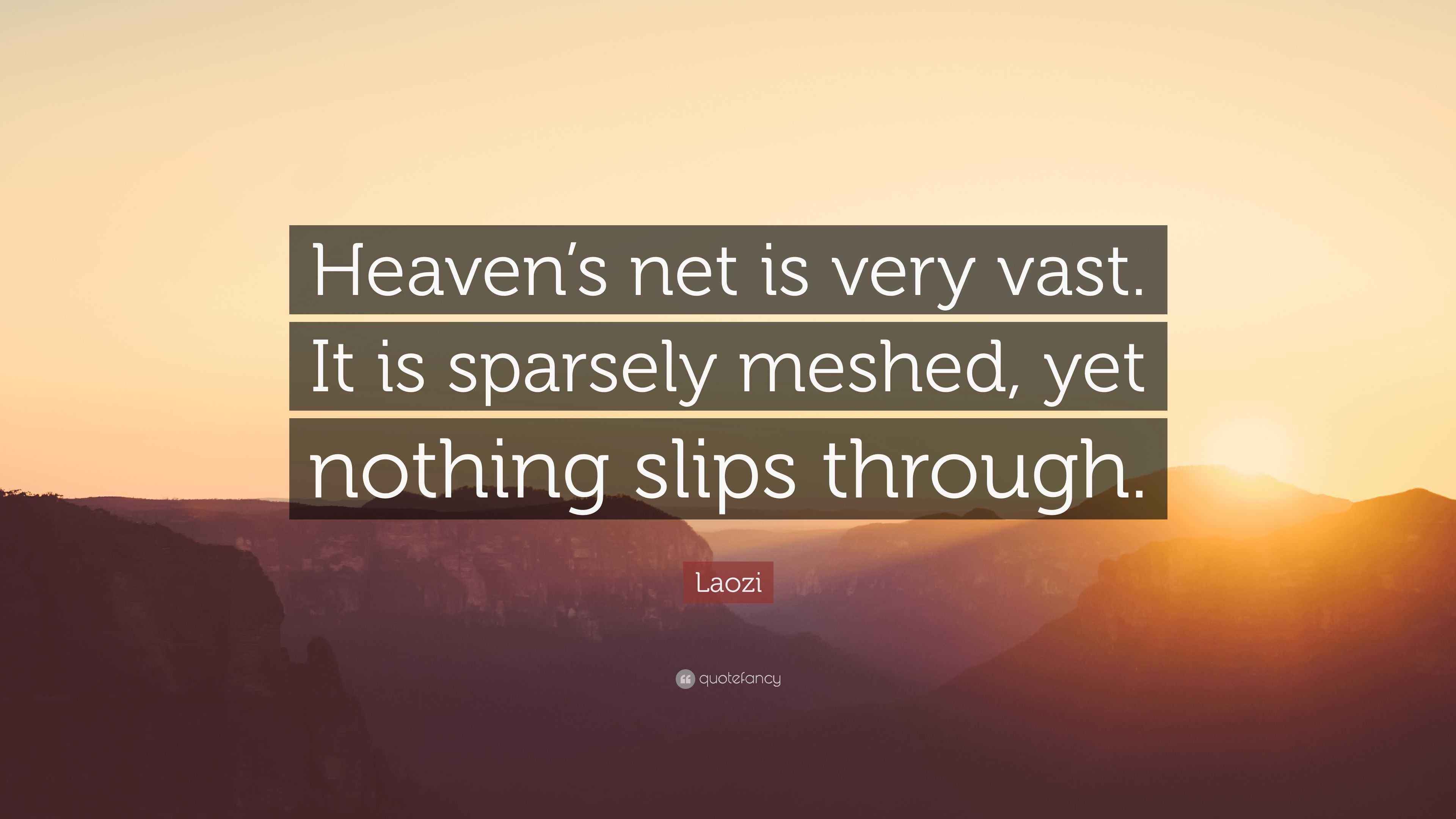 Laozi Quote: “Heaven’s net is very vast. It is sparsely meshed, yet ...