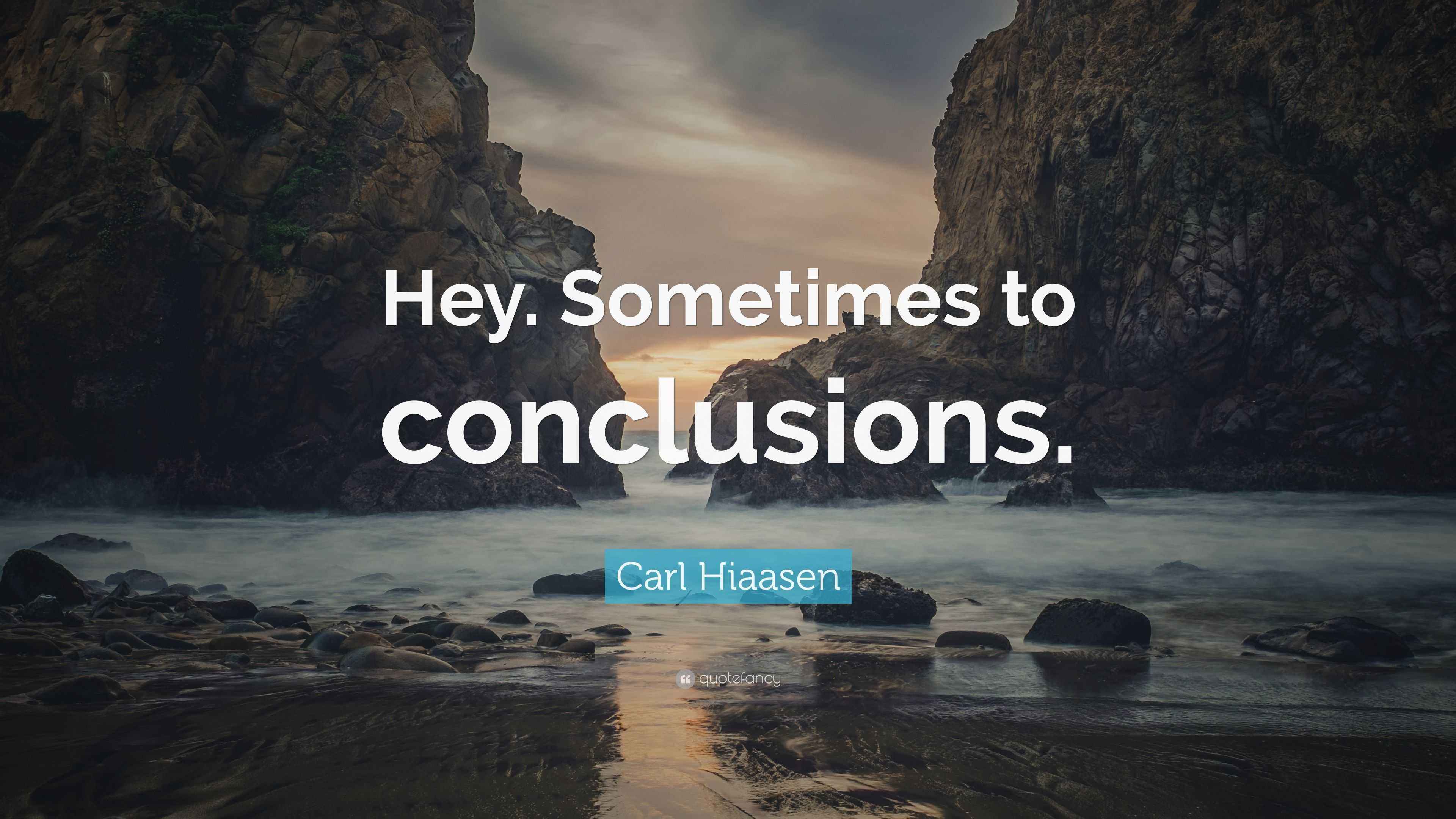 Carl Hiaasen Quote: “Hey. Sometimes to conclusions.”