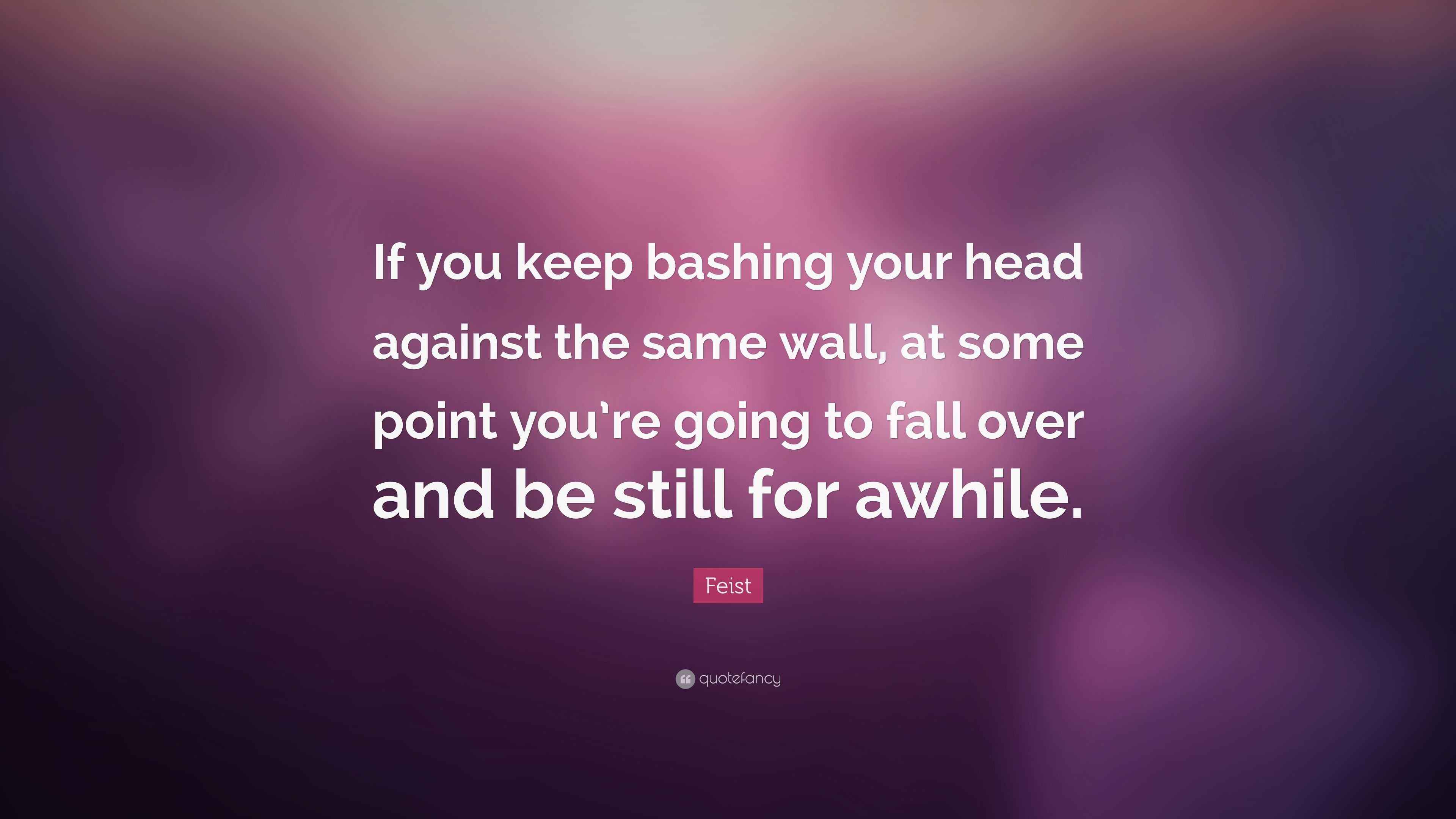 Feist Quote: “If you keep bashing your head against the same wall, at ...