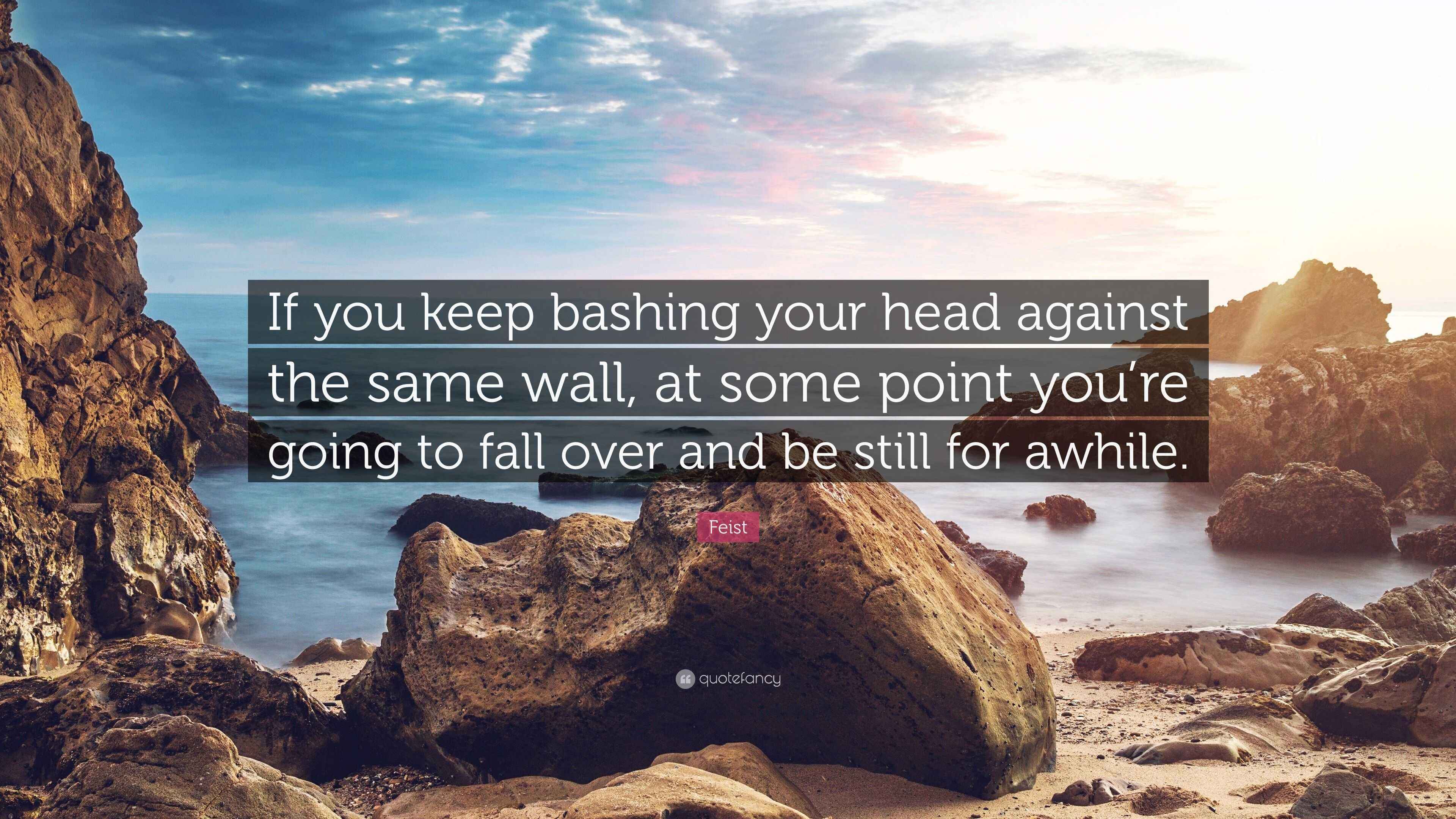Feist Quote: “If you keep bashing your head against the same wall, at ...