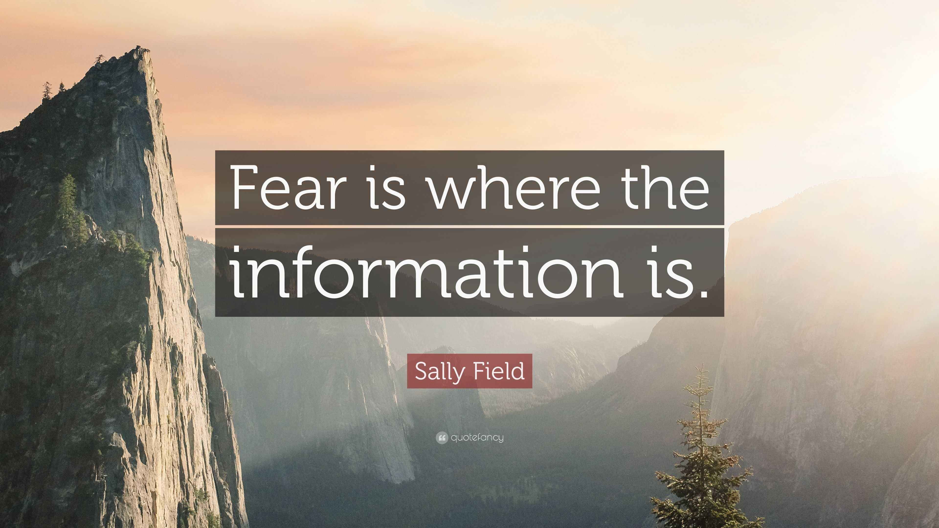 Sally Field Quote: “Fear is where the information is.”