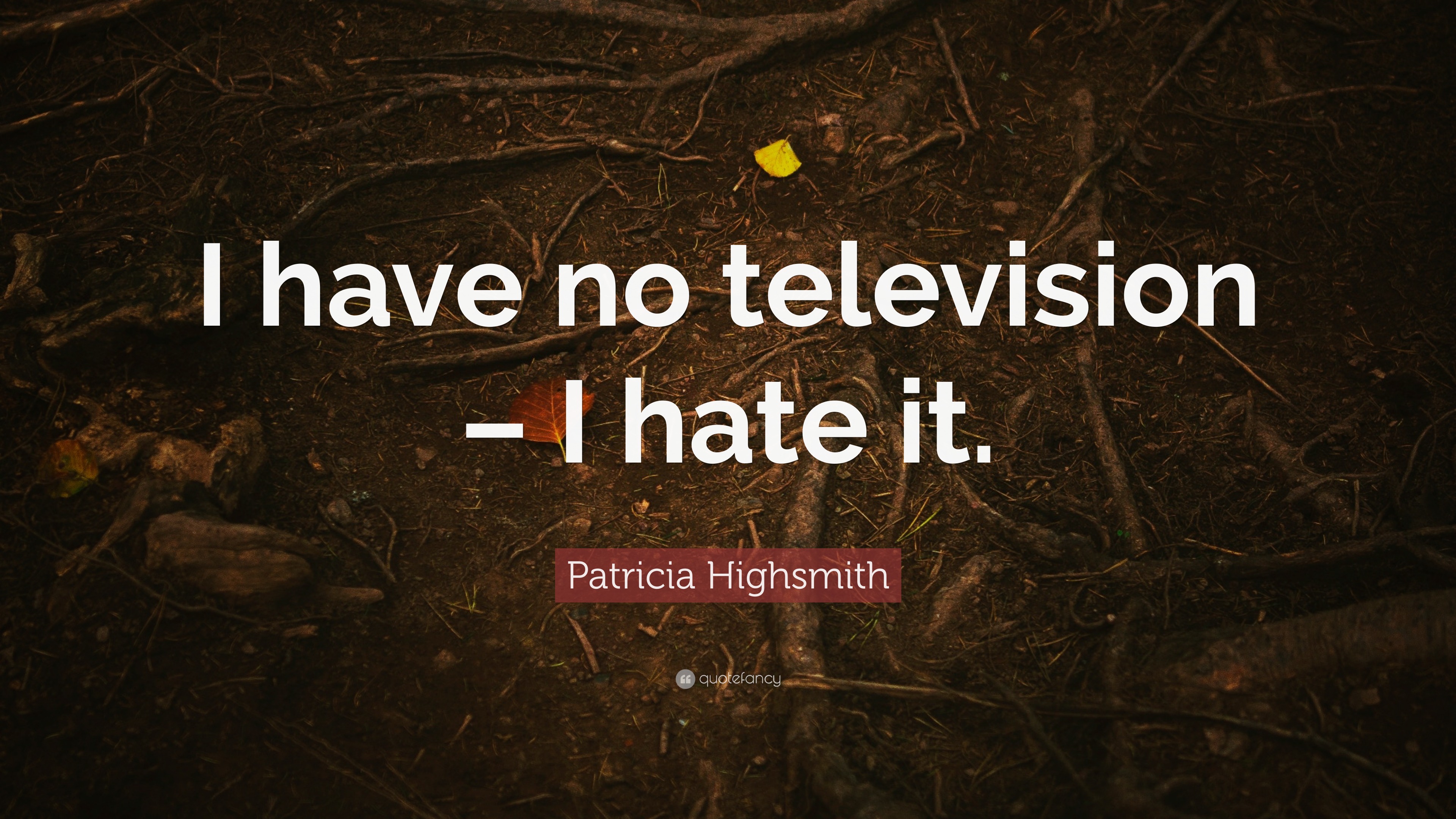 Patricia Highsmith Quote: “I have no television – I hate it.”