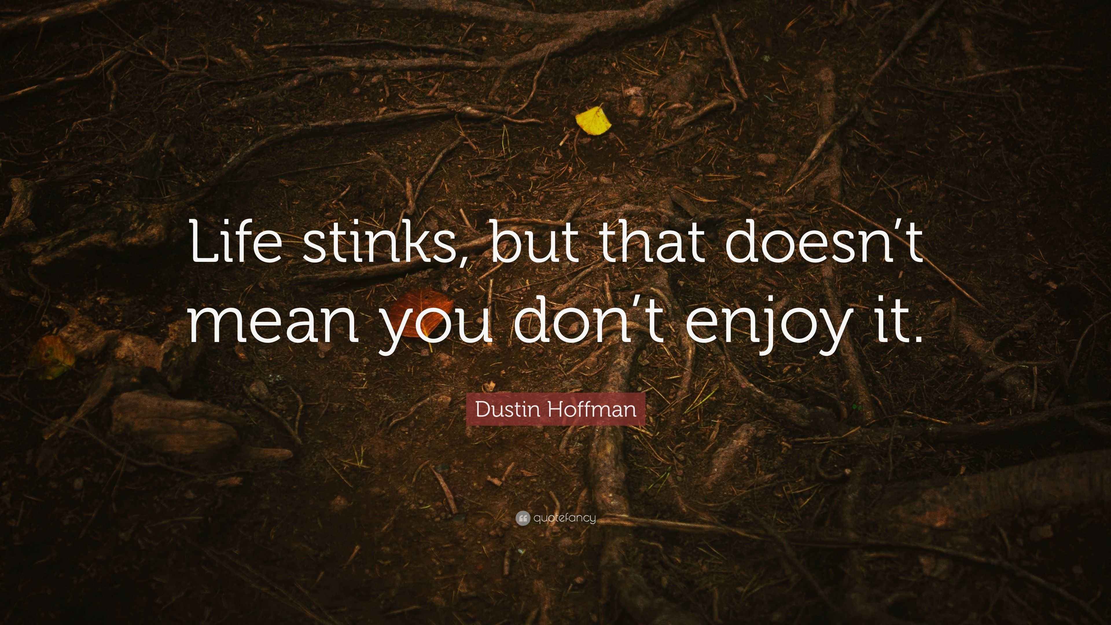 Dustin Hoffman Quote: “Life stinks, but that doesn’t mean you don’t ...