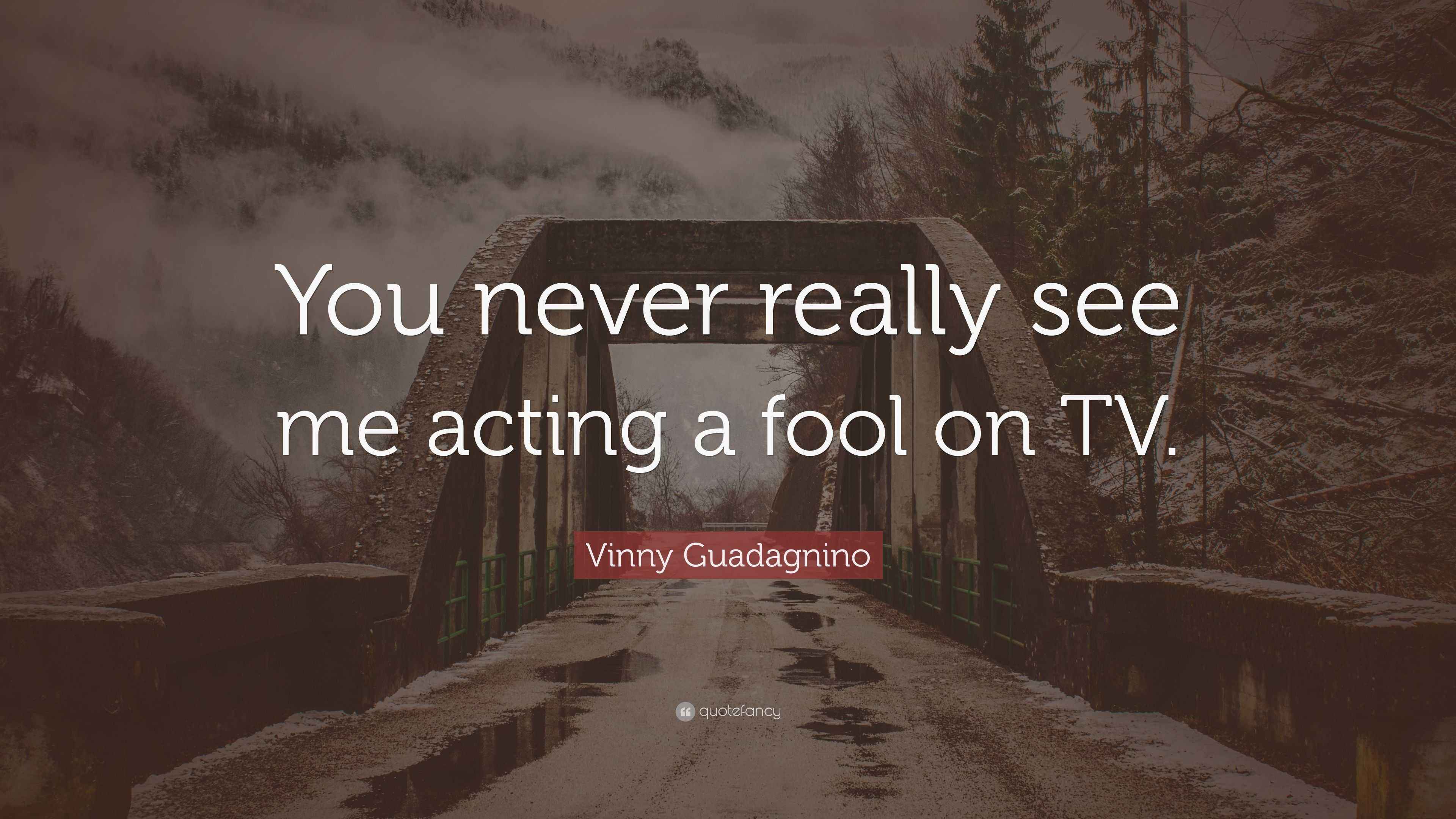 Vinny Guadagnino Quote: “You never really see me acting a fool on TV.”