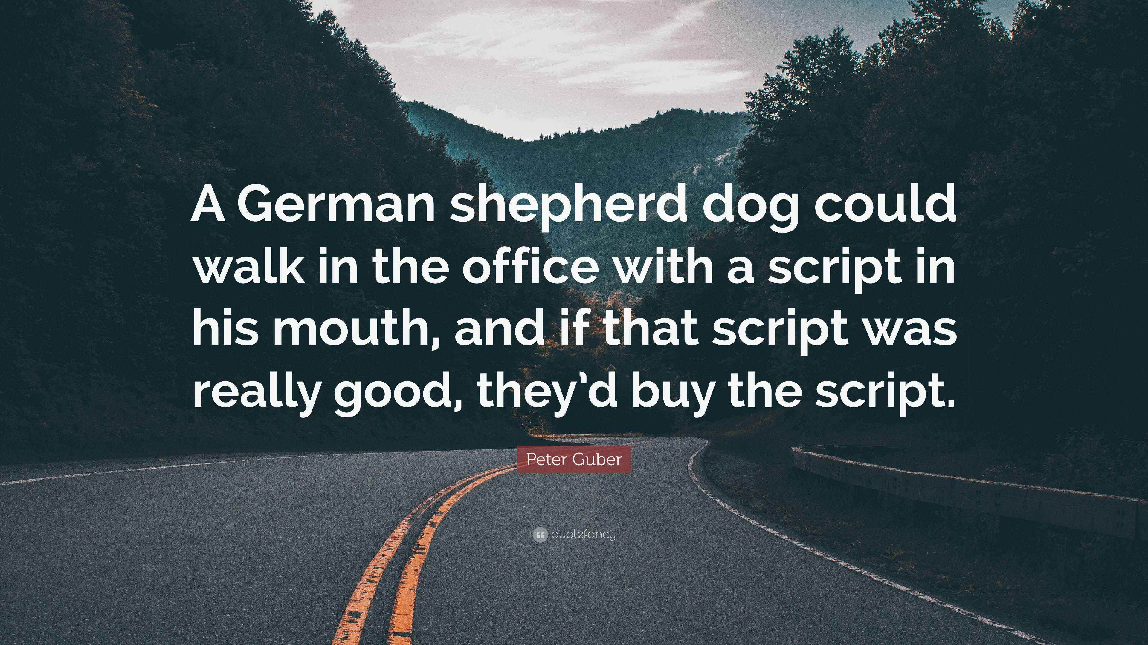 Peter Guber Quote: “A German shepherd dog could walk in the office with ...
