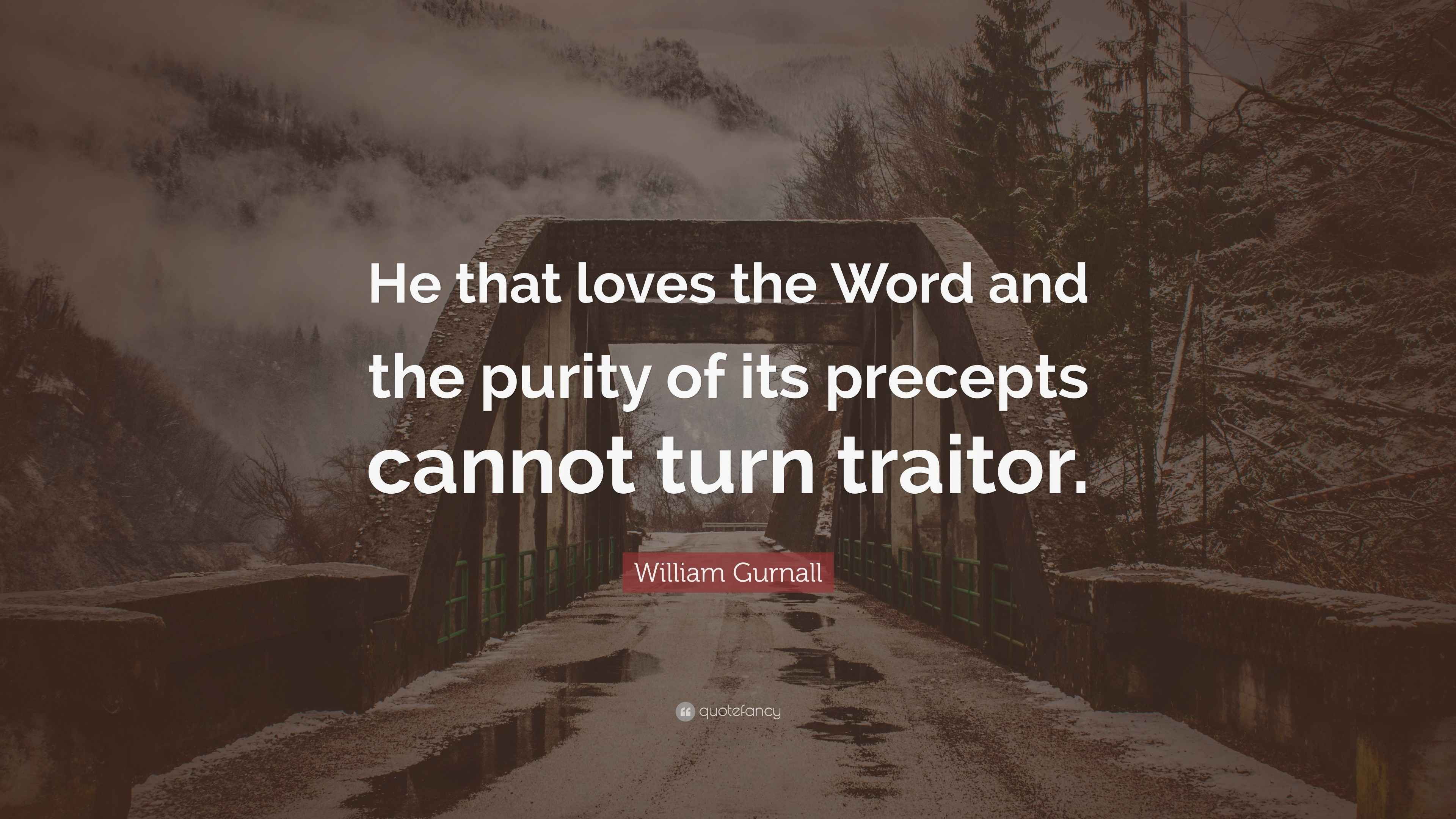 William Gurnall Quote: “He that loves the Word and the purity of its ...