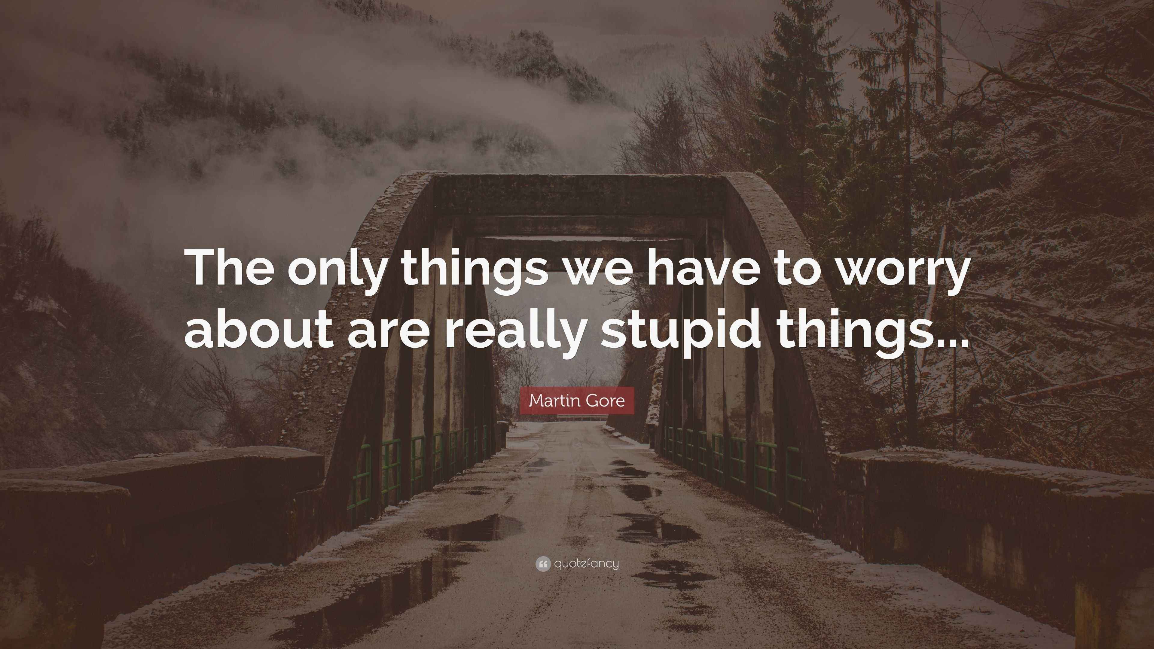 Martin Gore Quote: “The only things we have to worry about are really ...