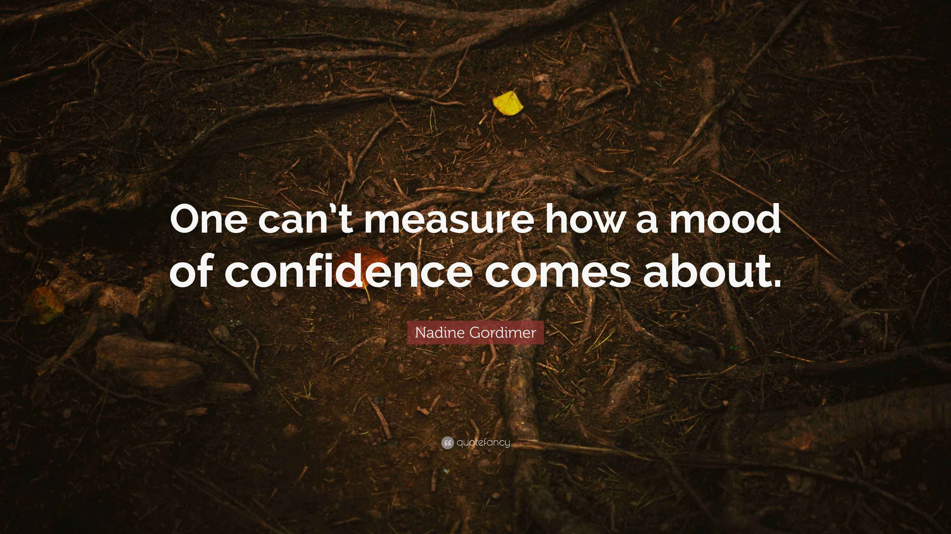 Nadine Gordimer Quote: “One can’t measure how a mood of confidence ...