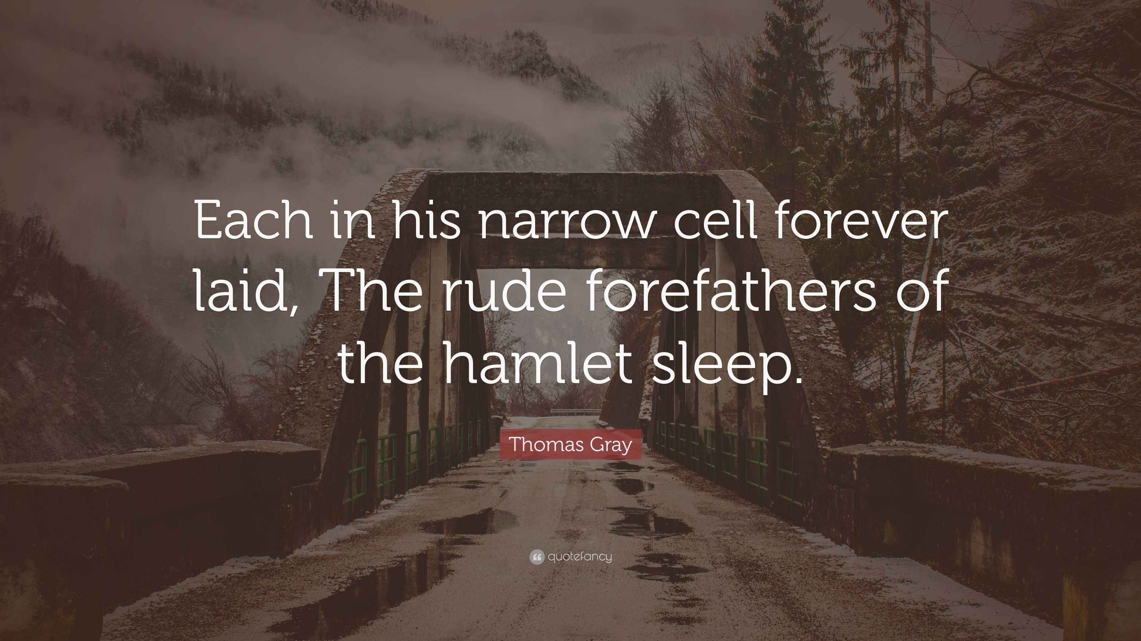Thomas Gray Quote: “Each in his narrow cell forever laid, The rude ...