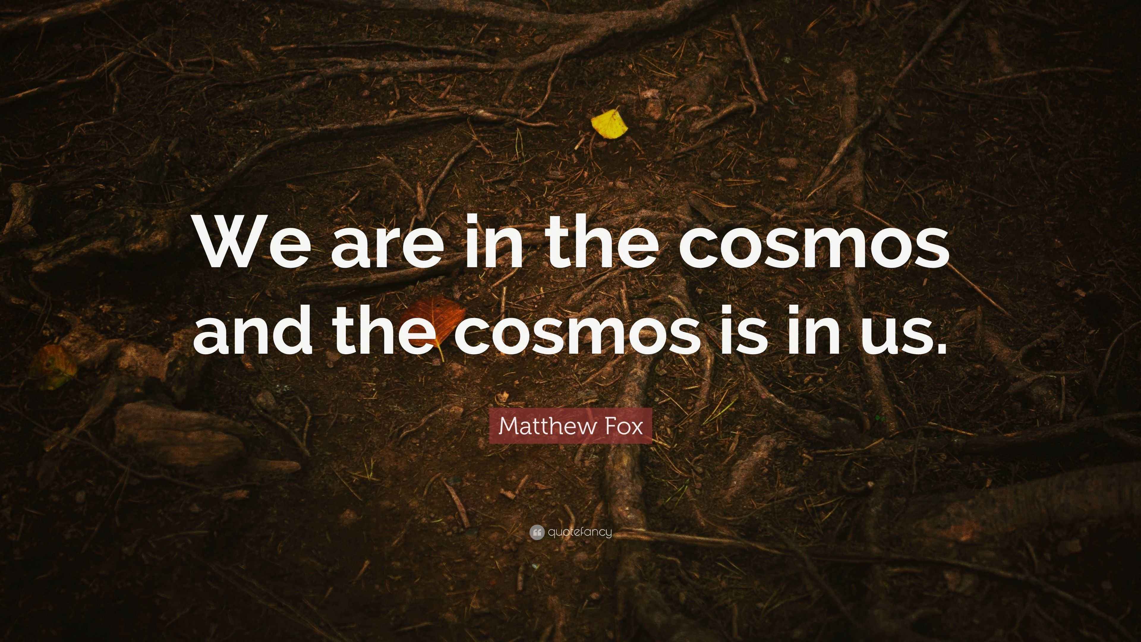 Matthew Fox Quote: “We are in the cosmos and the cosmos is in us.”