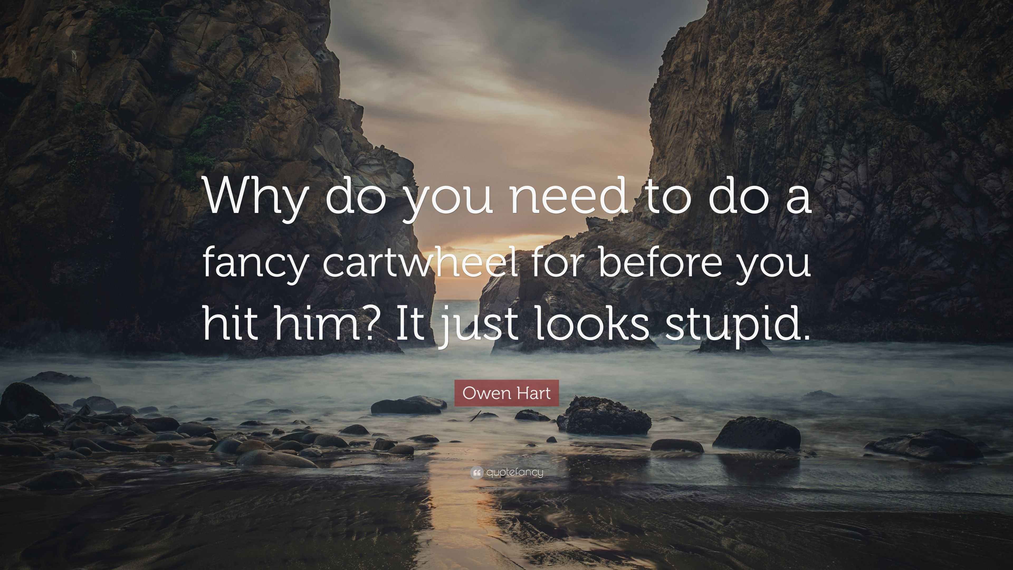 Owen Hart Quote: “Why do you need to do a fancy cartwheel for before ...
