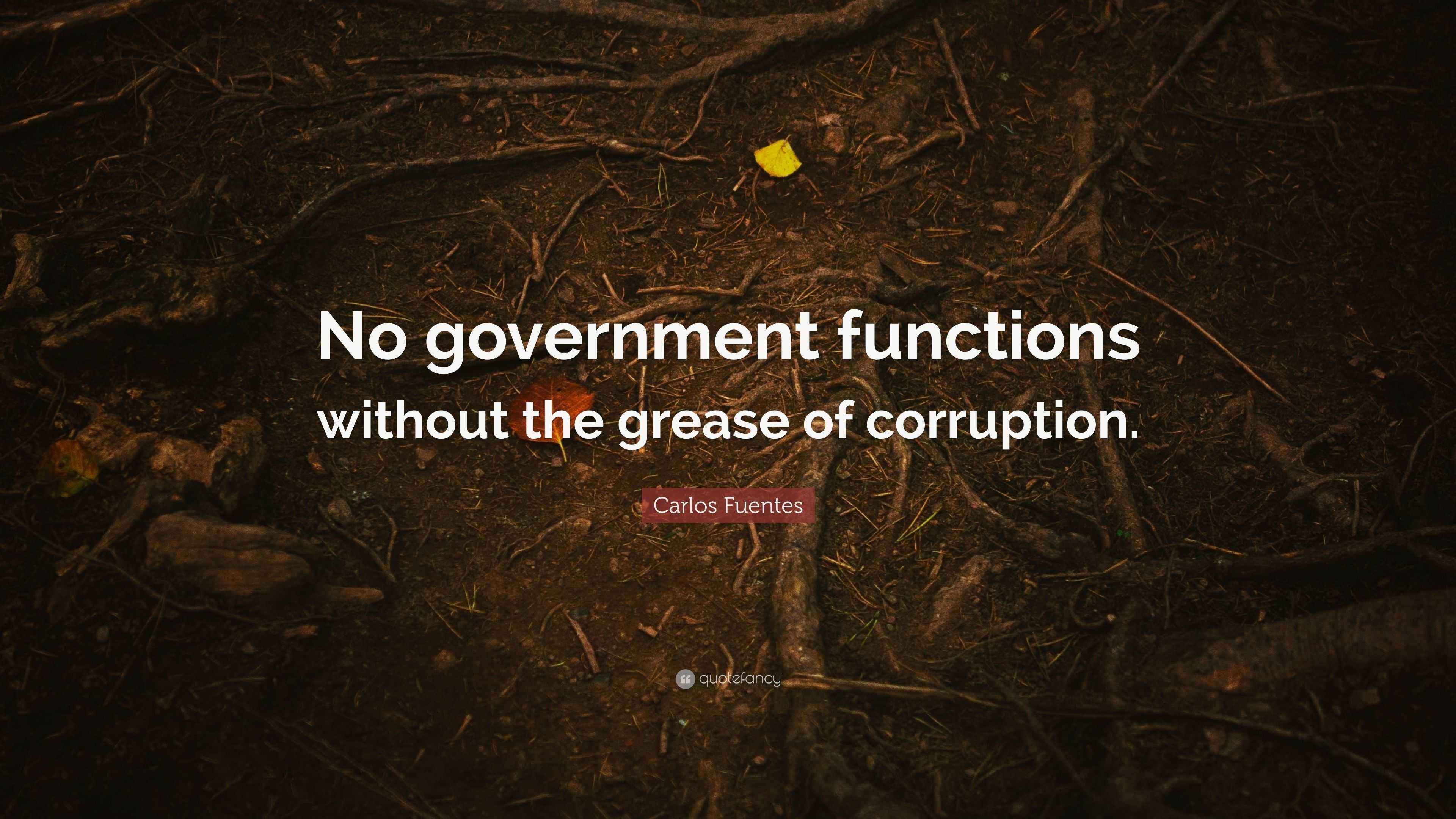 Carlos Fuentes Quote: “No government functions without the grease of ...