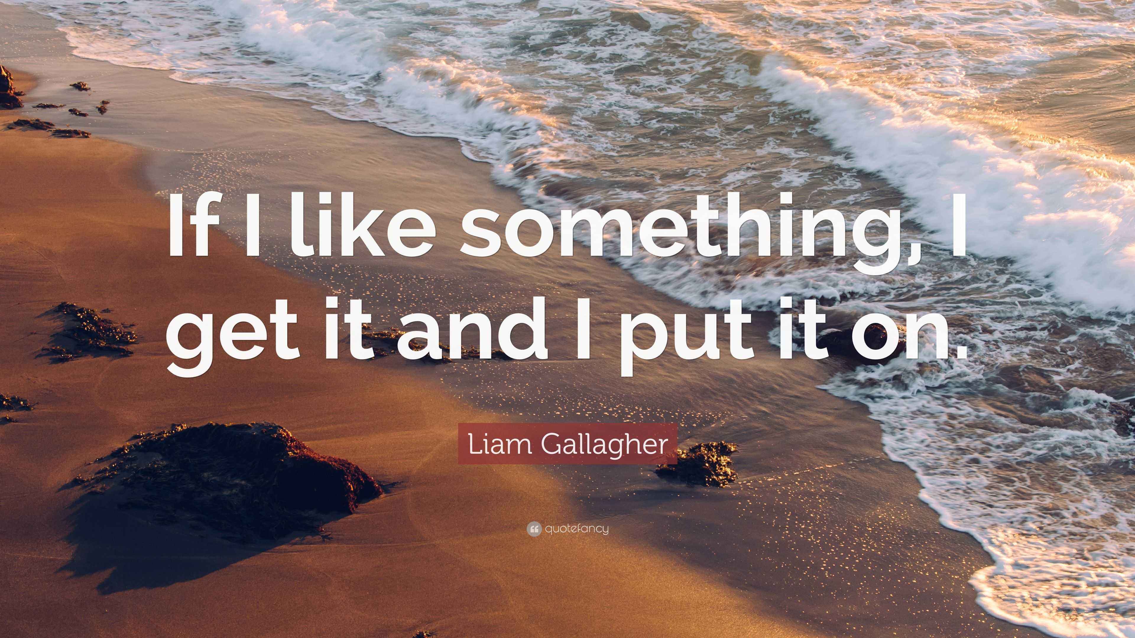 Liam Gallagher Quote: “If I like something, I get it and I put it on.”