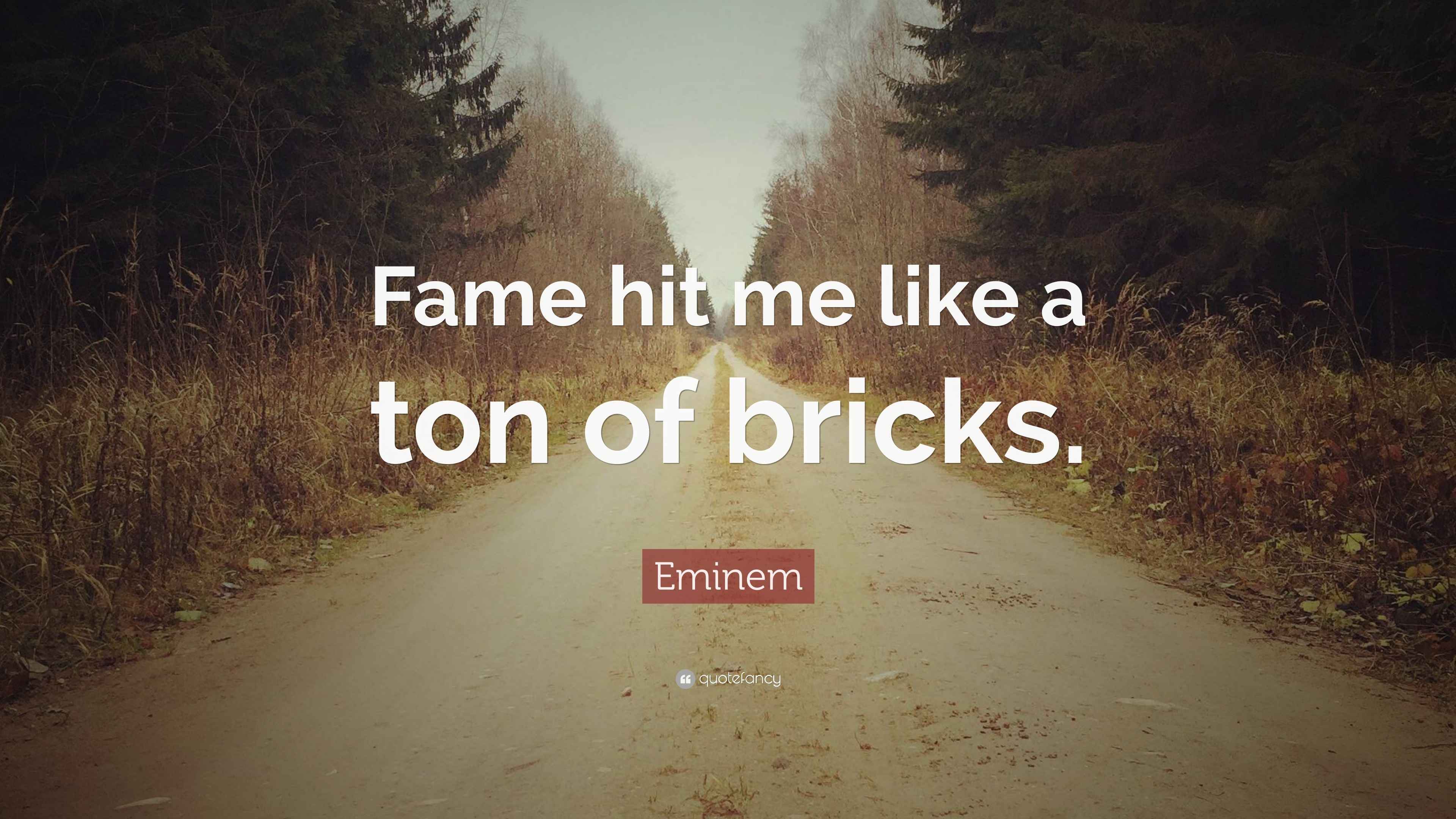 Eminem Quote: “Fame hit me like a ton of bricks.”
