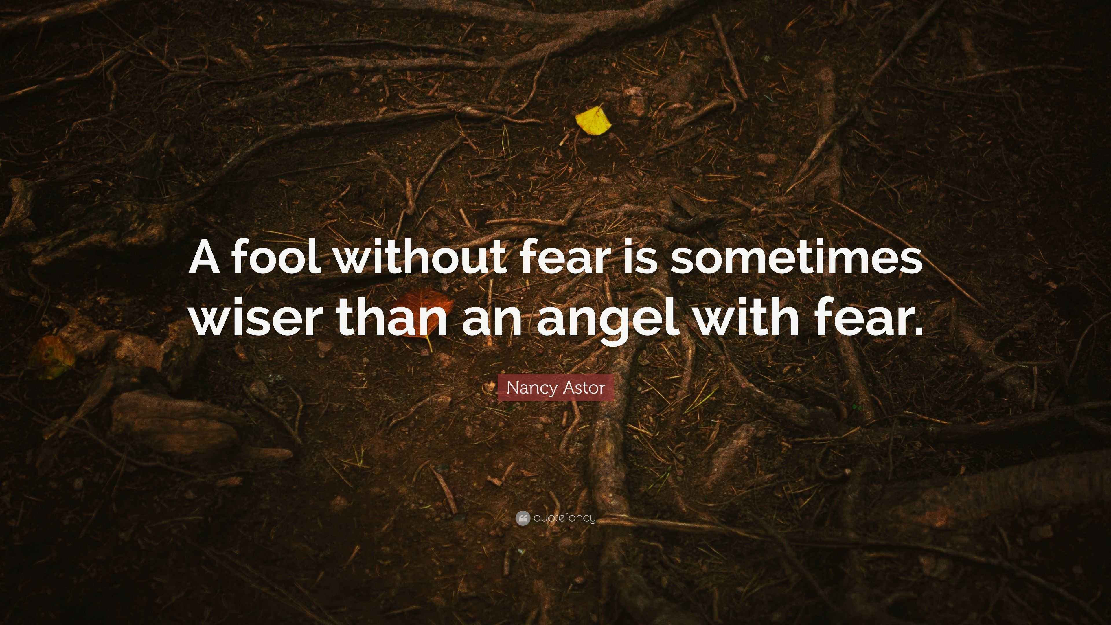 Nancy Astor Quote: “A fool without fear is sometimes wiser than an ...