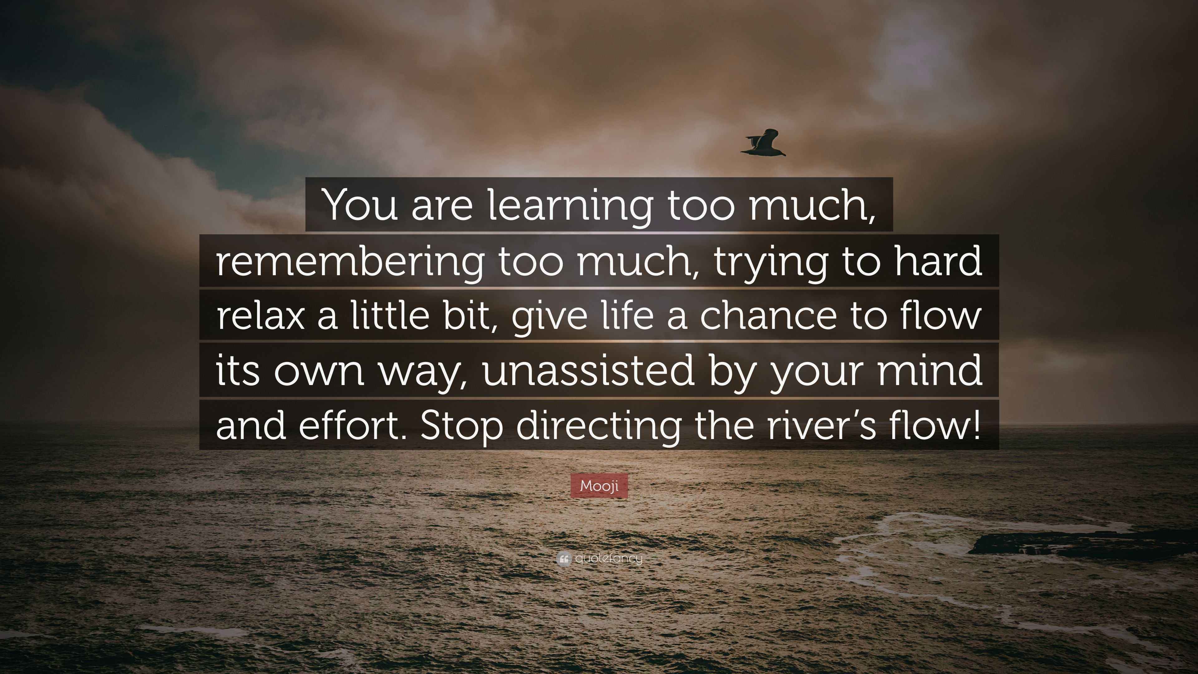 Mooji Quote: “You are learning too much, remembering too much, trying ...