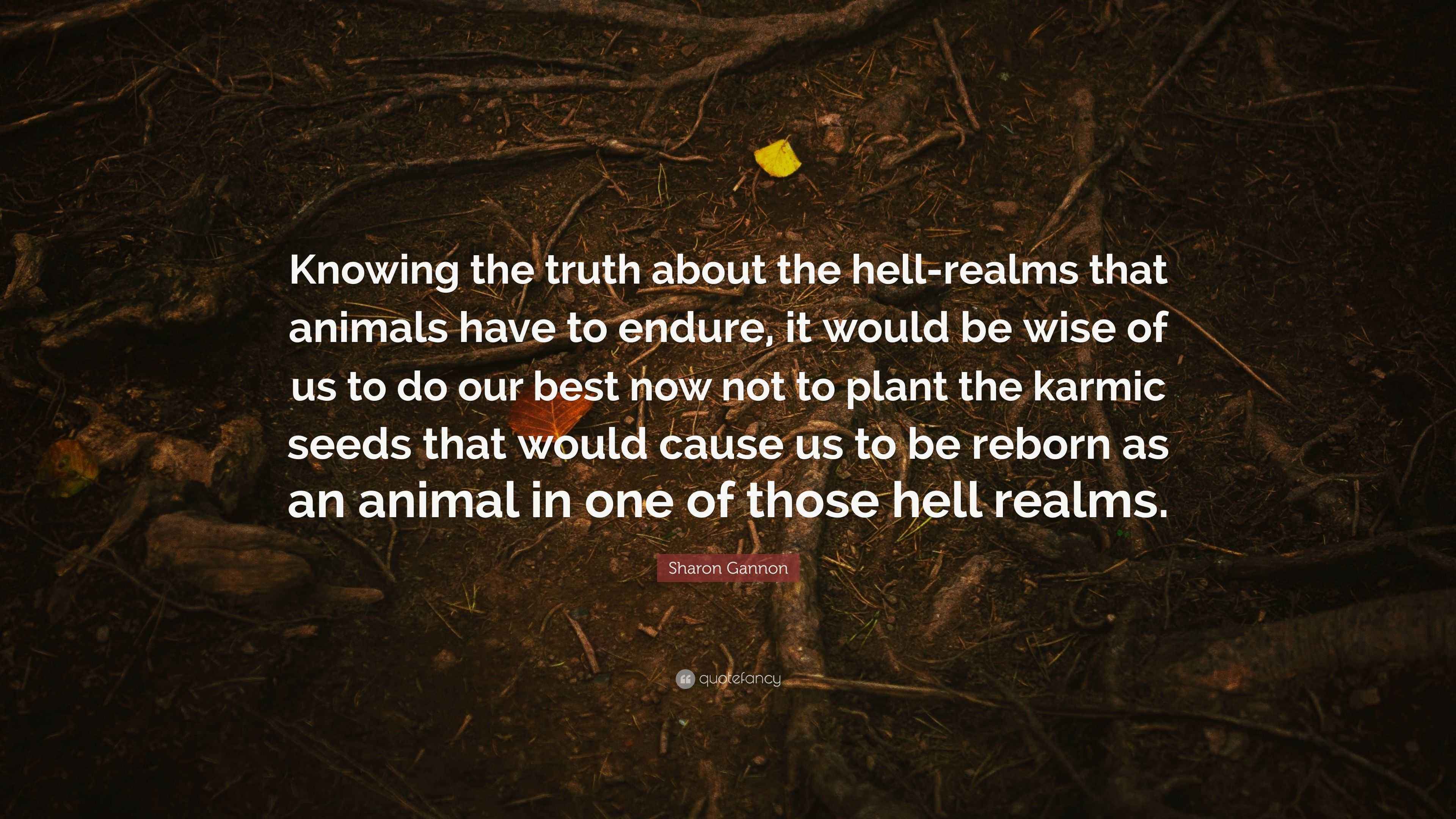 Sharon Gannon Quote: “Knowing the truth about the hell-realms that ...