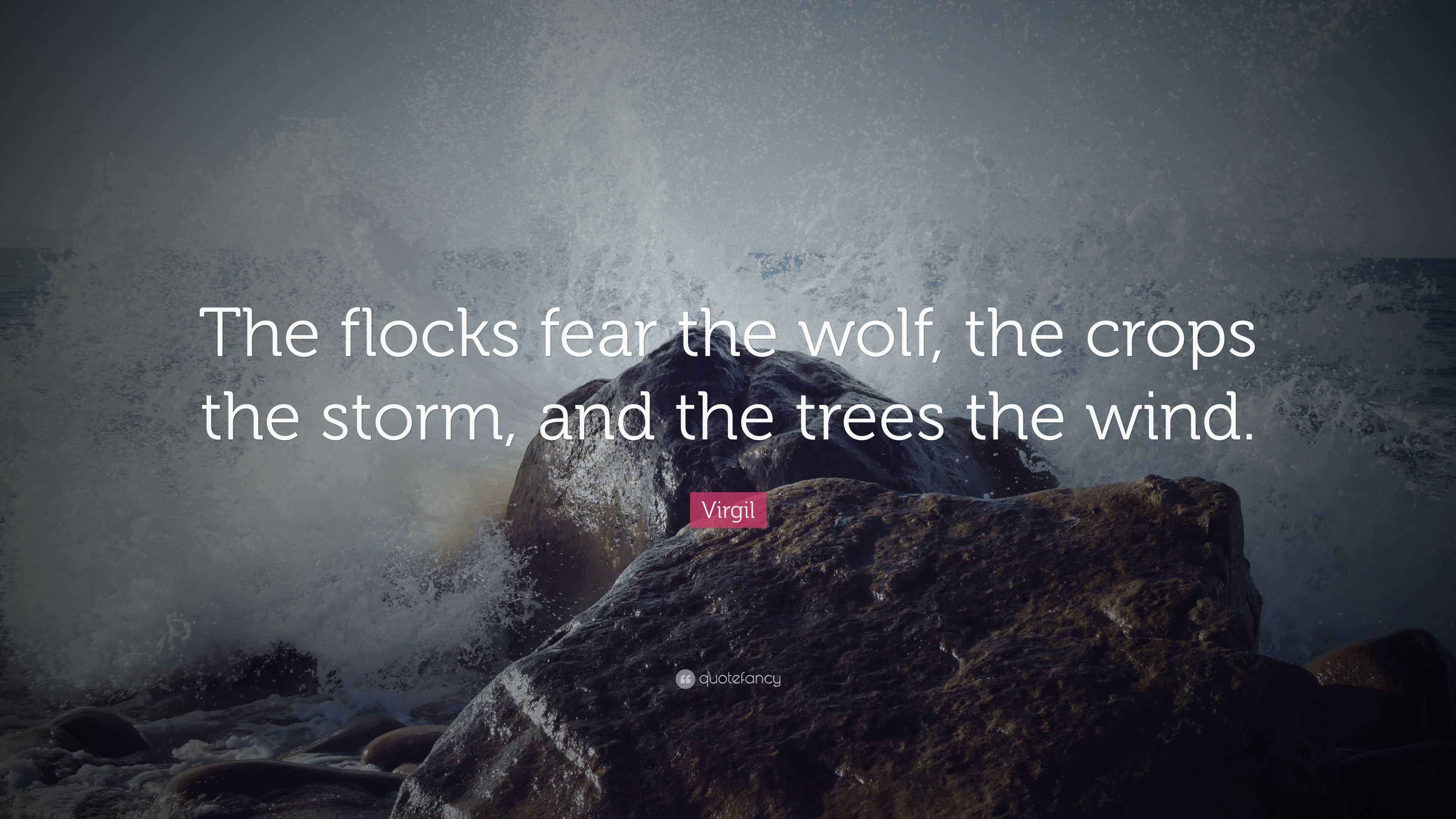 Virgil Quote: “The flocks fear the wolf, the crops the storm, and the ...