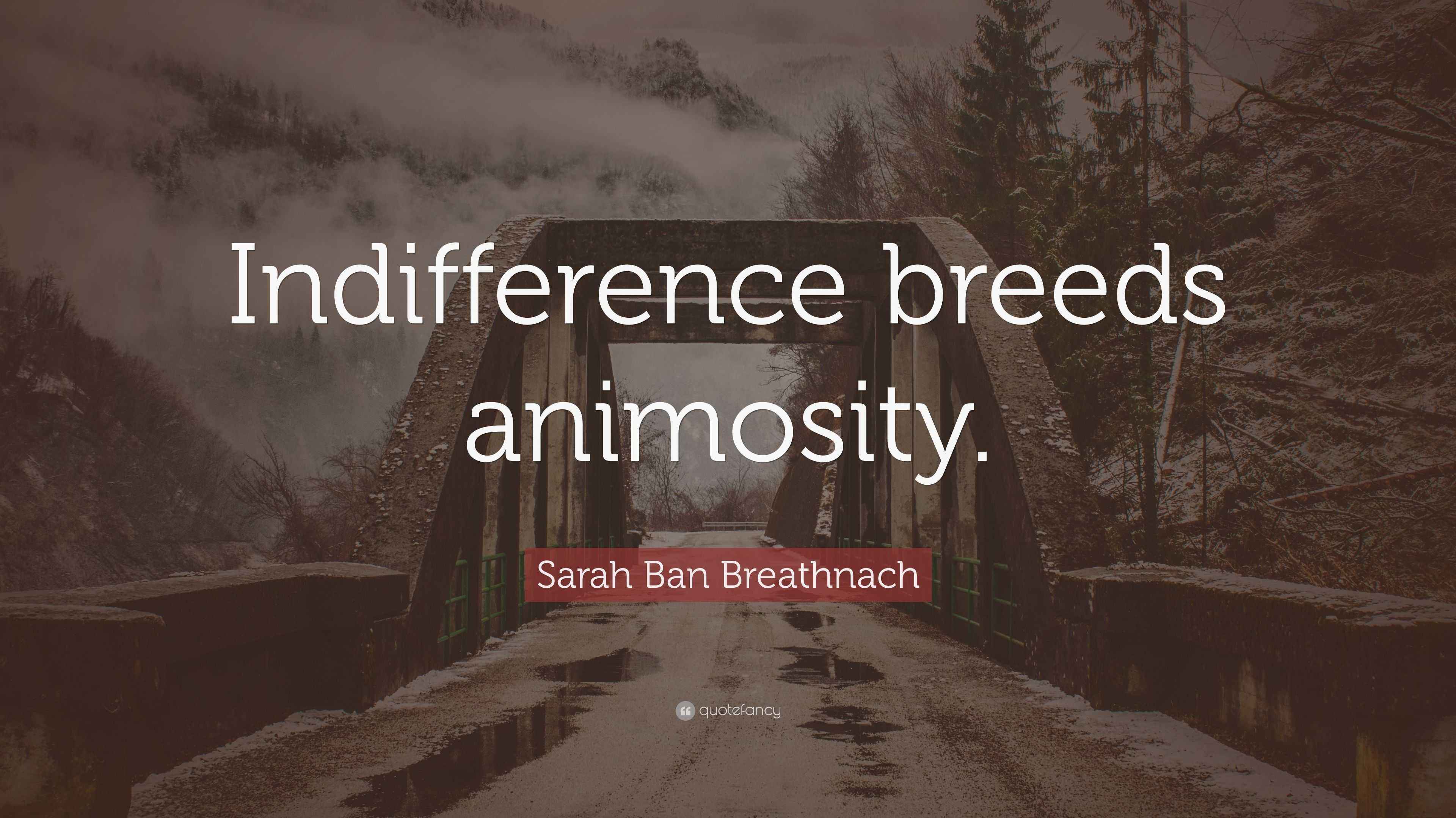 Sarah Ban Breathnach Quote: “Indifference breeds animosity.”