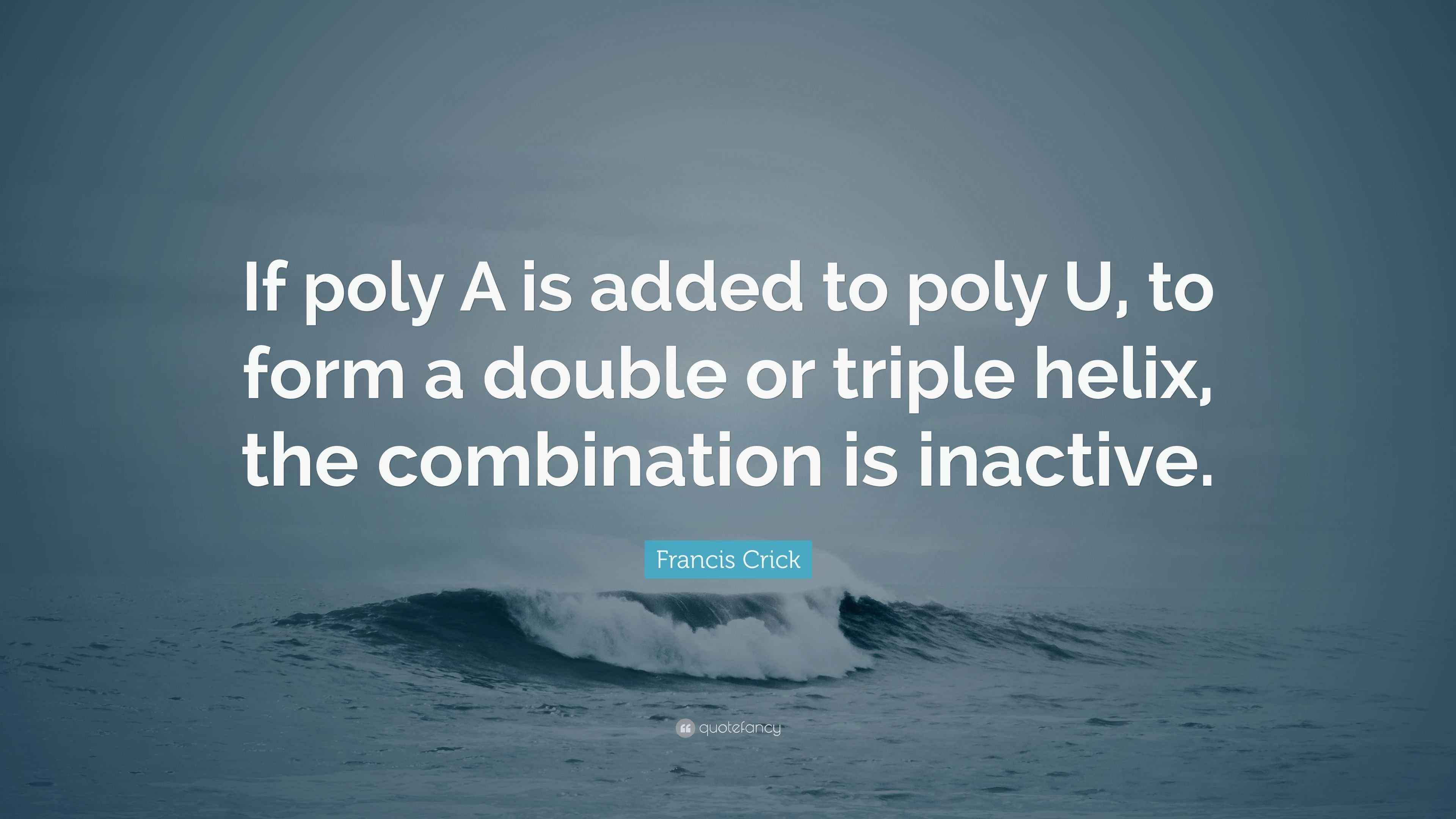 Francis Crick Quote: “If poly A is added to poly U, to form a double or ...
