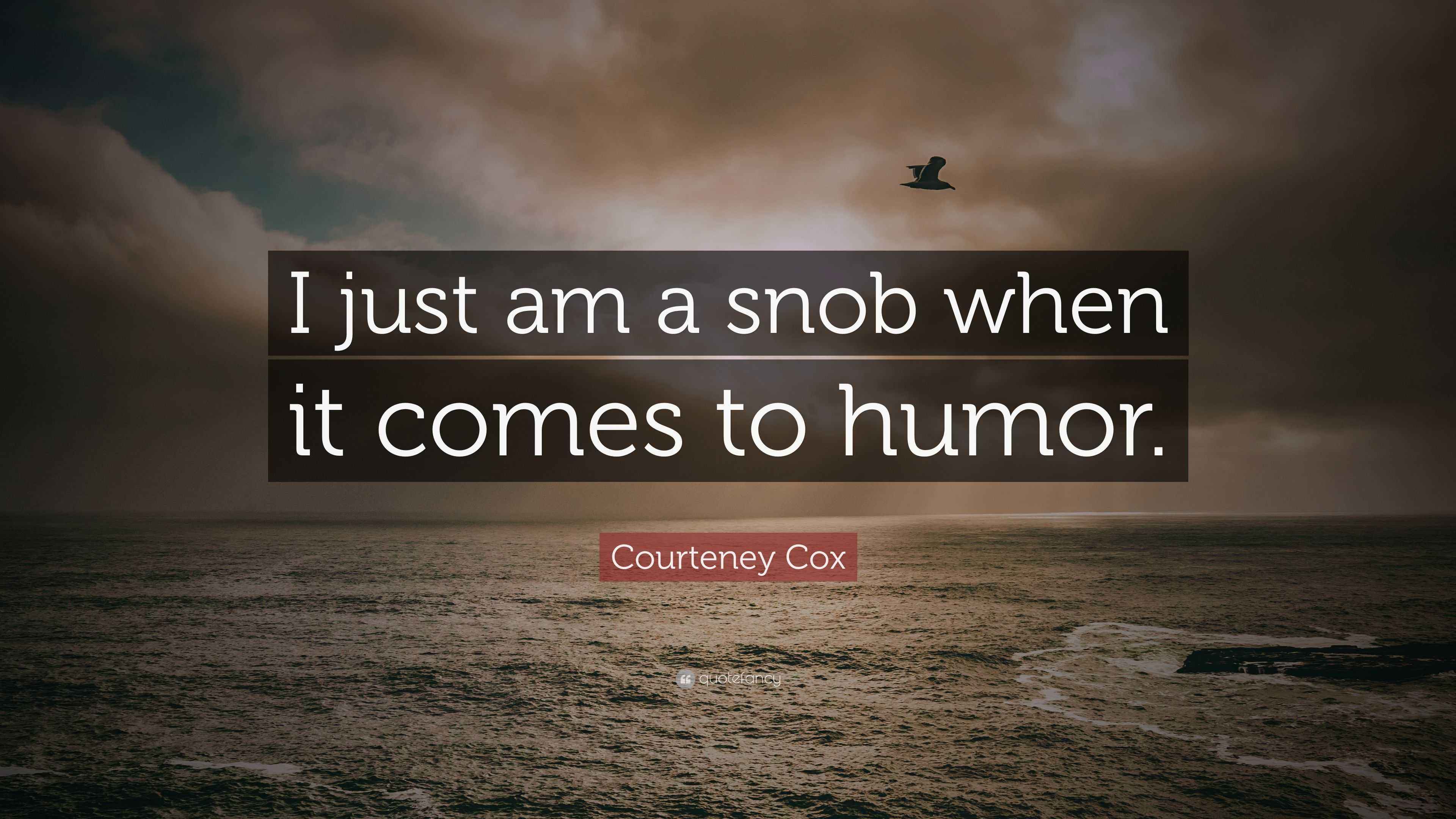 Courteney Cox Quote: “I just am a snob when it comes to humor.”