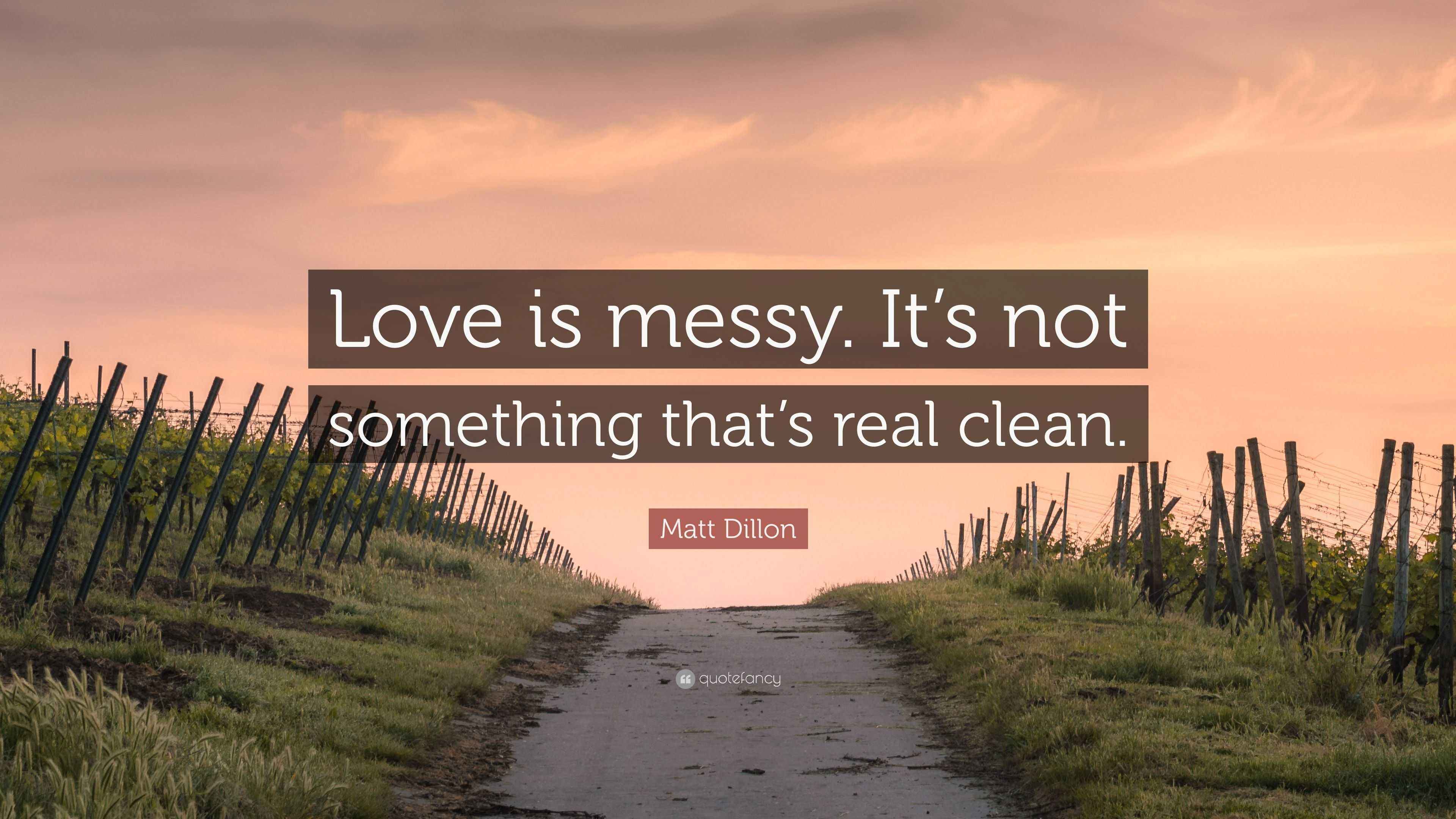 Matt Dillon Quote: “Love is messy. It’s not something that’s real clean.”