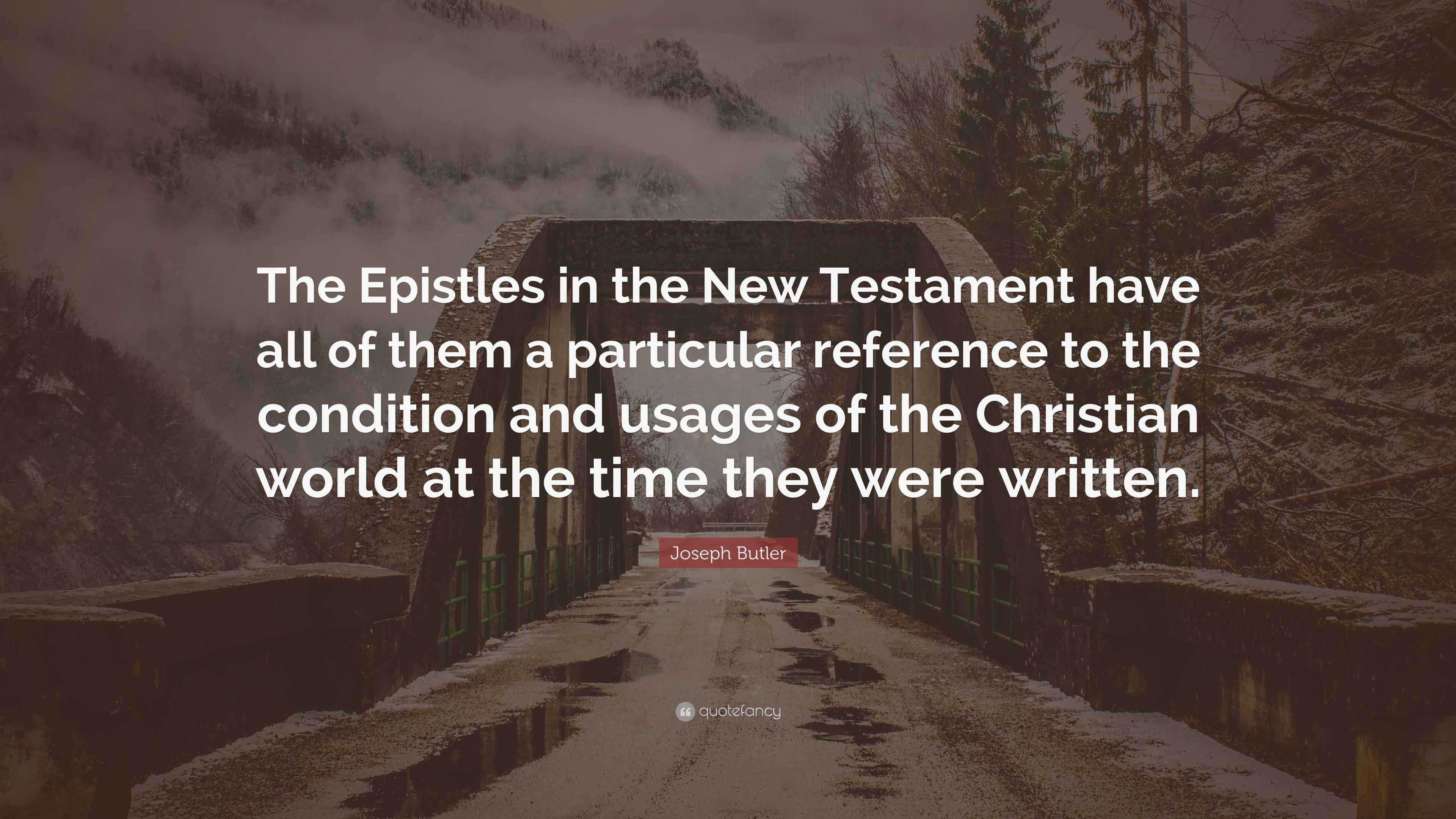 Joseph Butler Quote: “The Epistles in the New Testament have all of ...