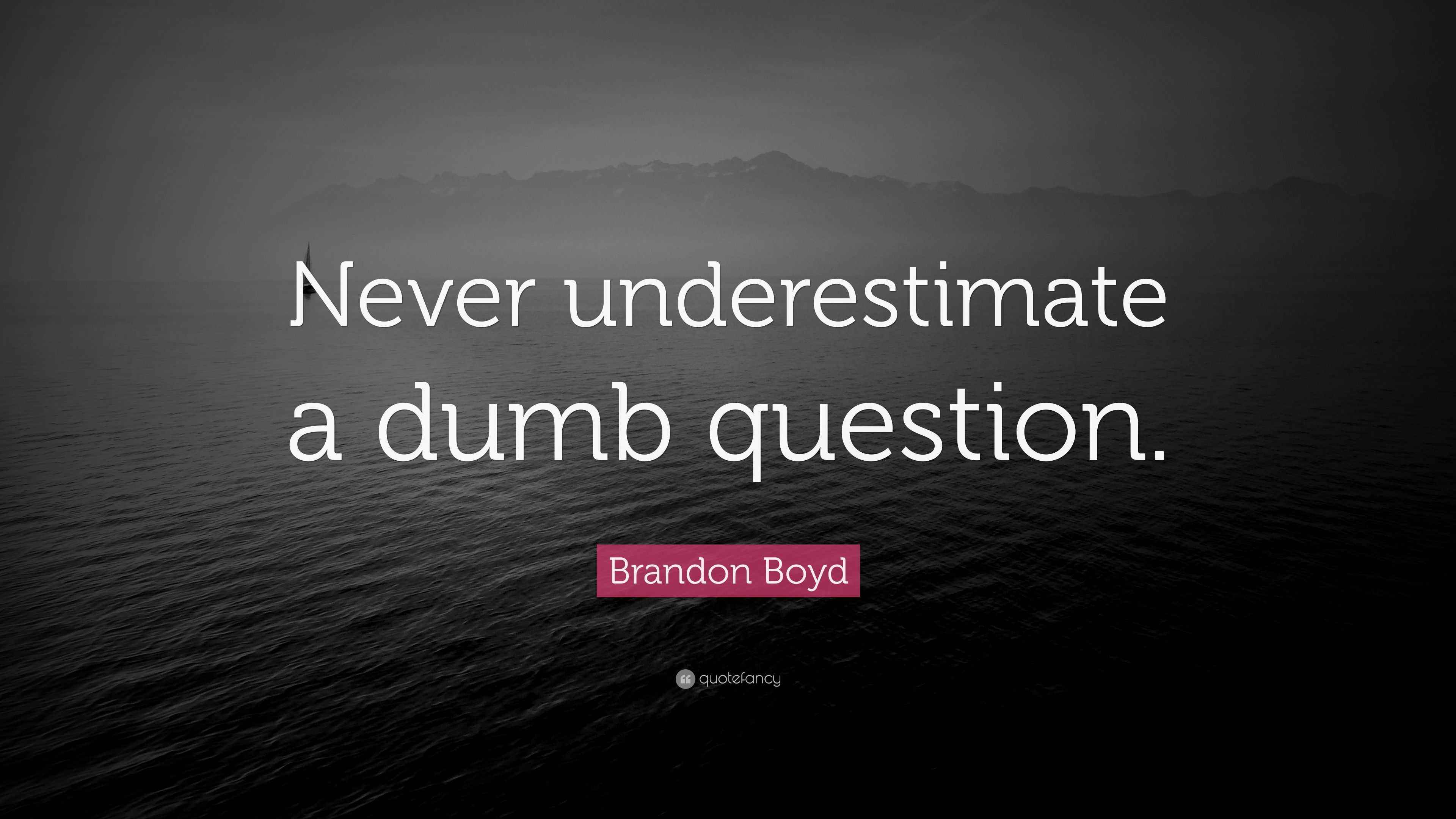 Brandon Boyd Quote: “Never underestimate a dumb question.”