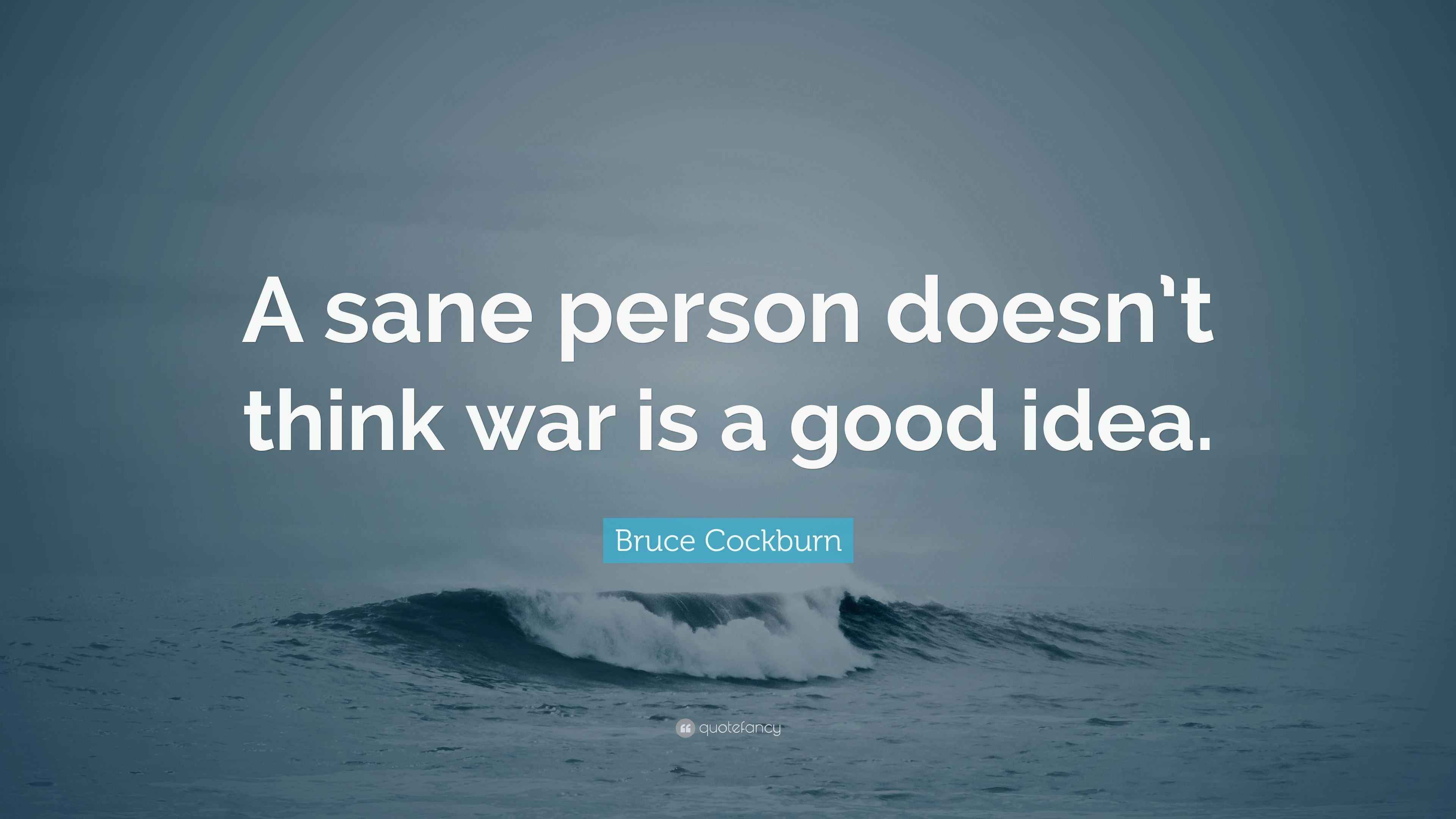 Bruce Cockburn Quote: “A sane person doesn’t think war is a good idea.”