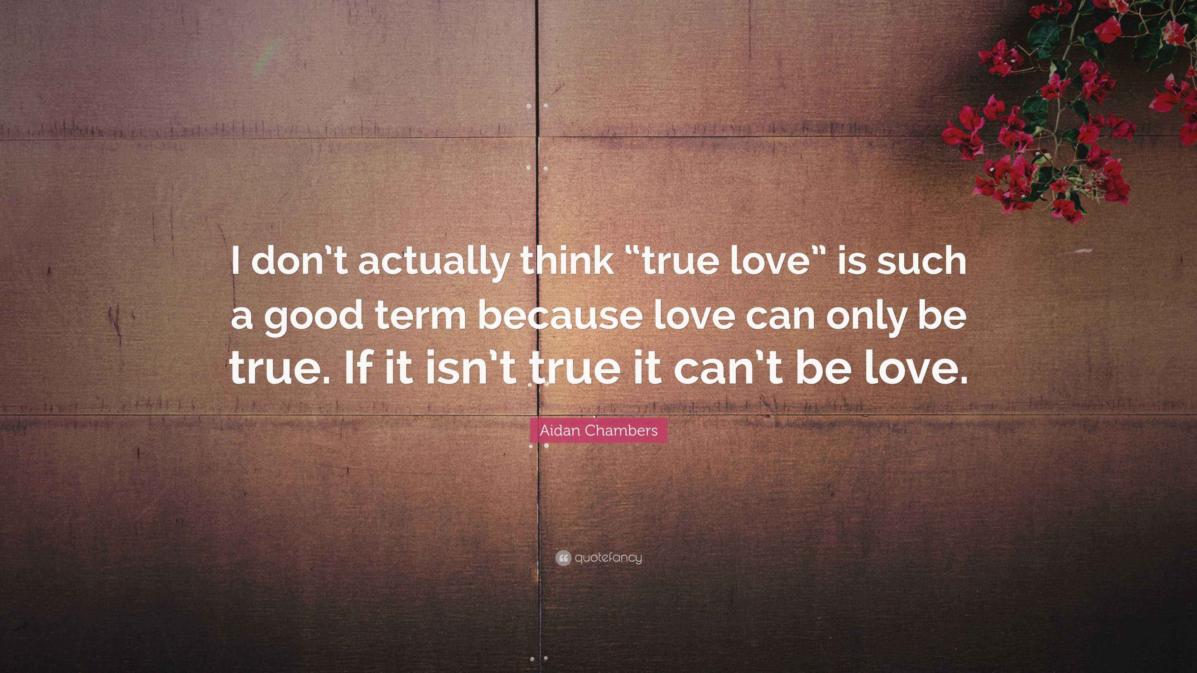 Aidan Chambers Quote: “I don’t actually think “true love” is such a ...