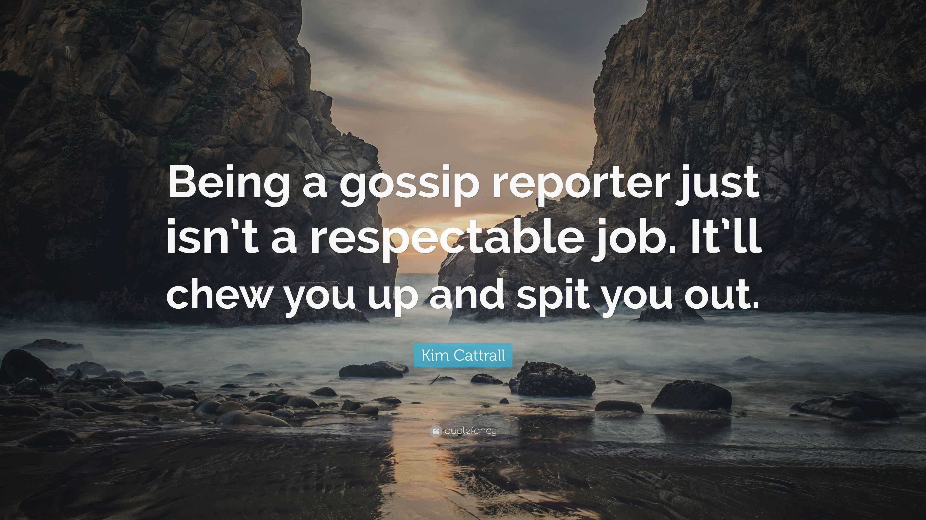 Kim Cattrall Quote: “Being a gossip reporter just isn’t a respectable ...