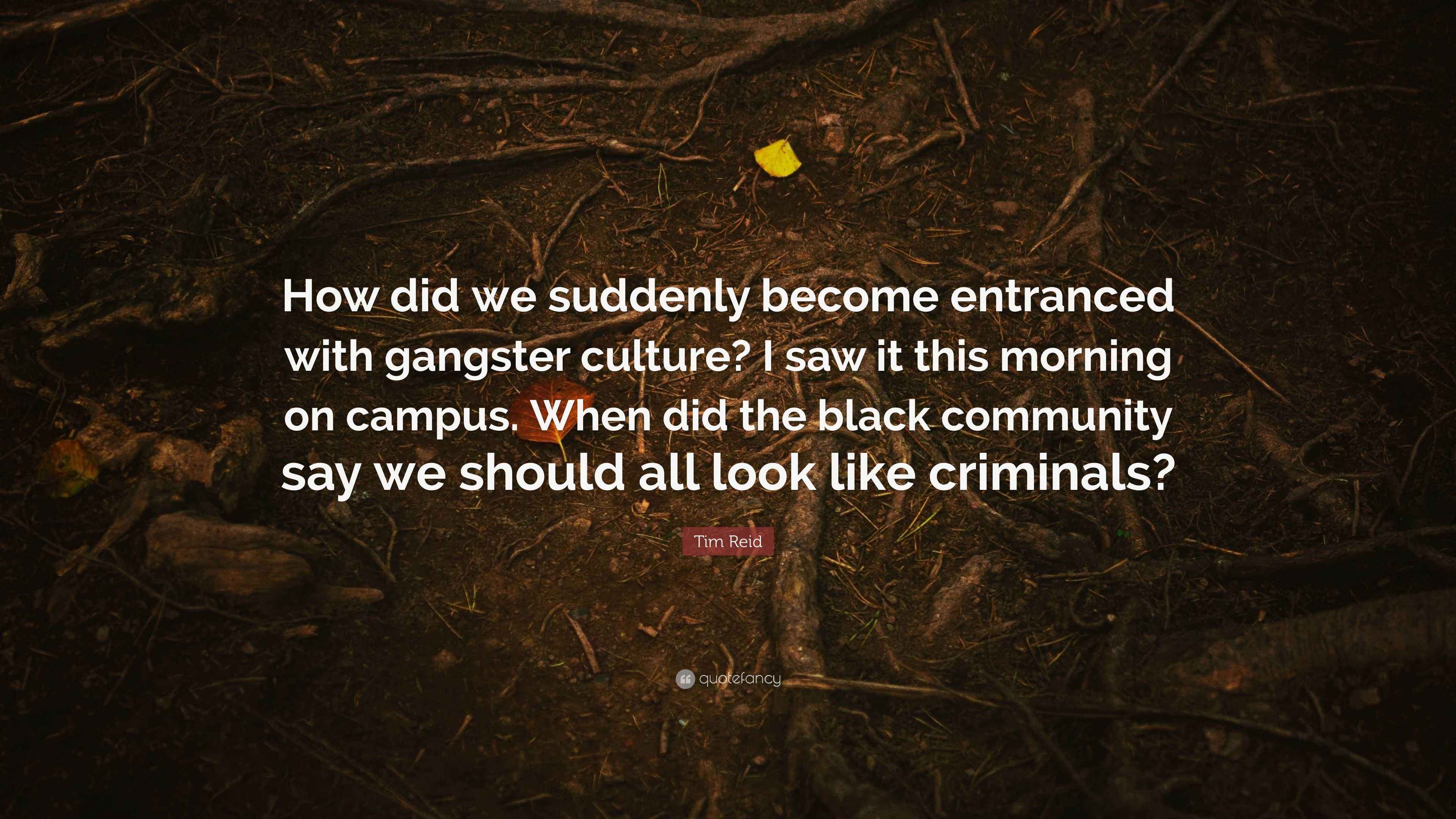 Tim Reid Quote: “How did we suddenly become entranced with gangster ...