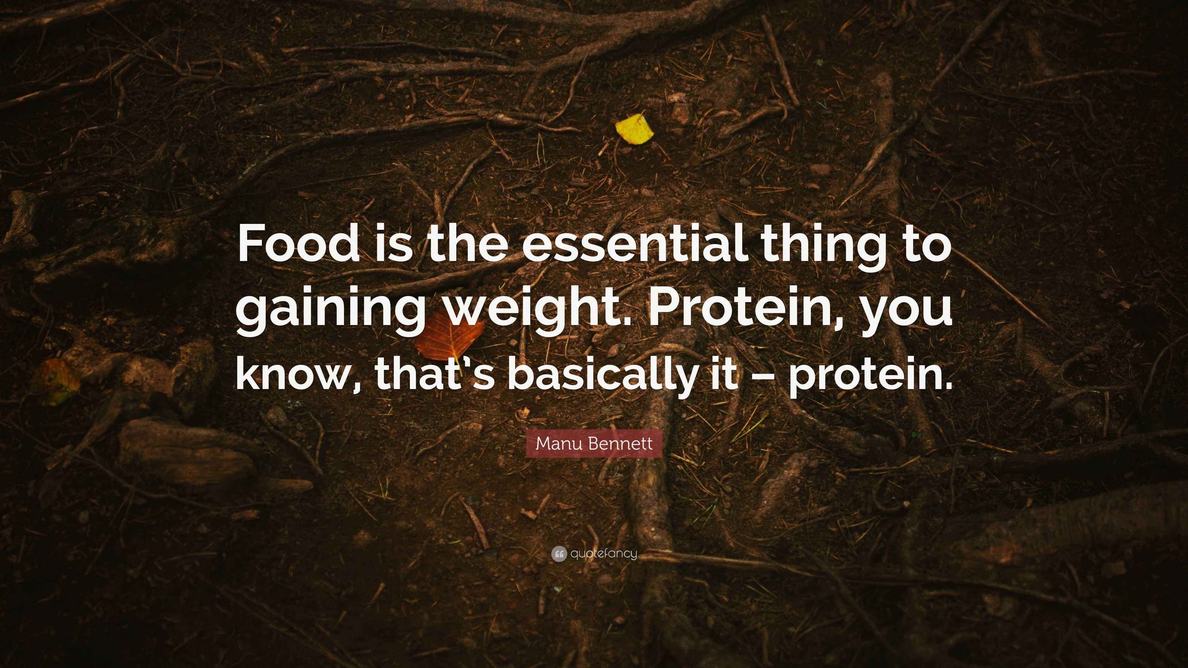 Manu Bennett Quote: “Food is the essential thing to gaining weight. Protein, you know, that’s ...