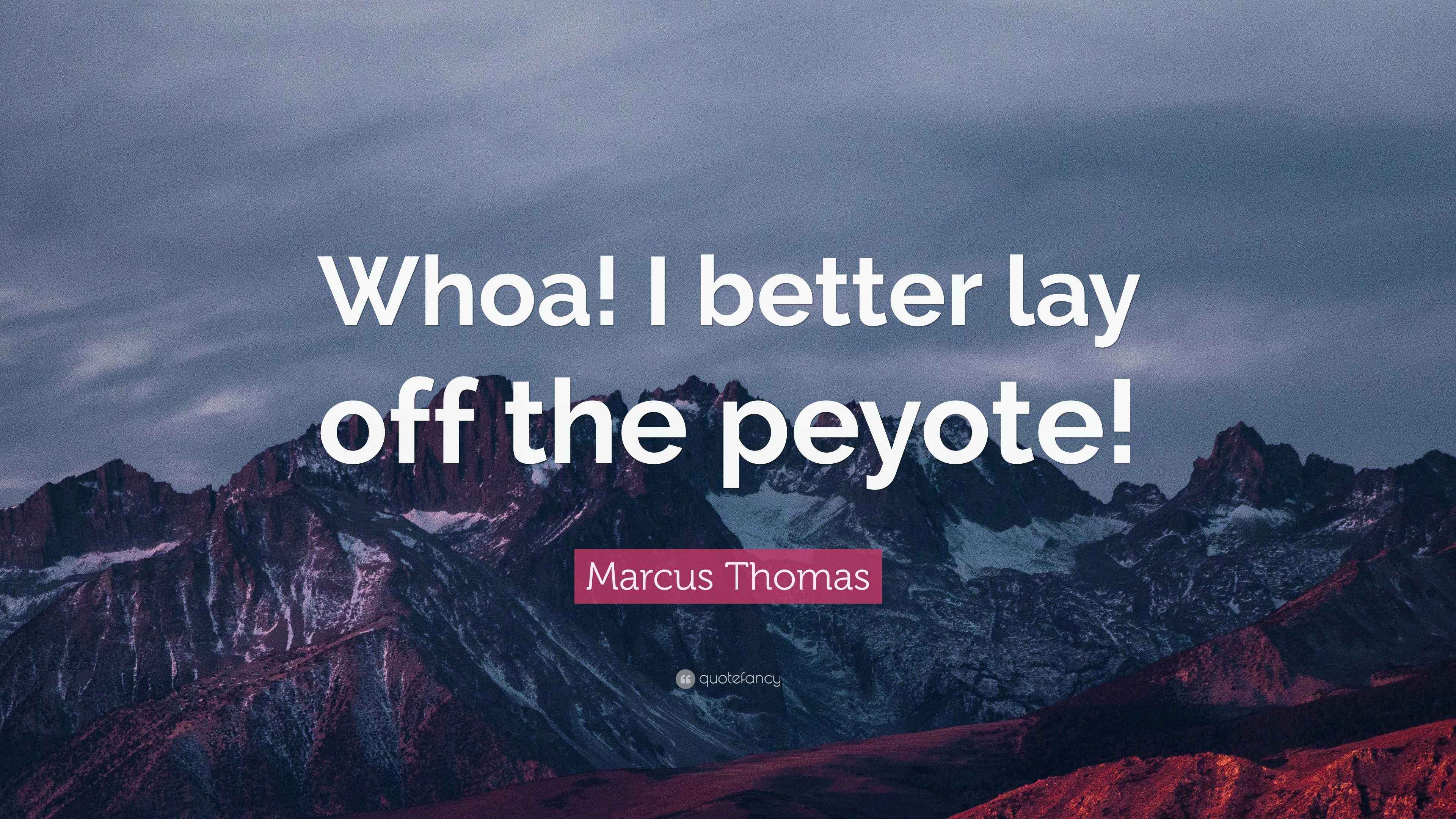 Marcus Thomas Quote: “Whoa! I better lay off the peyote!”